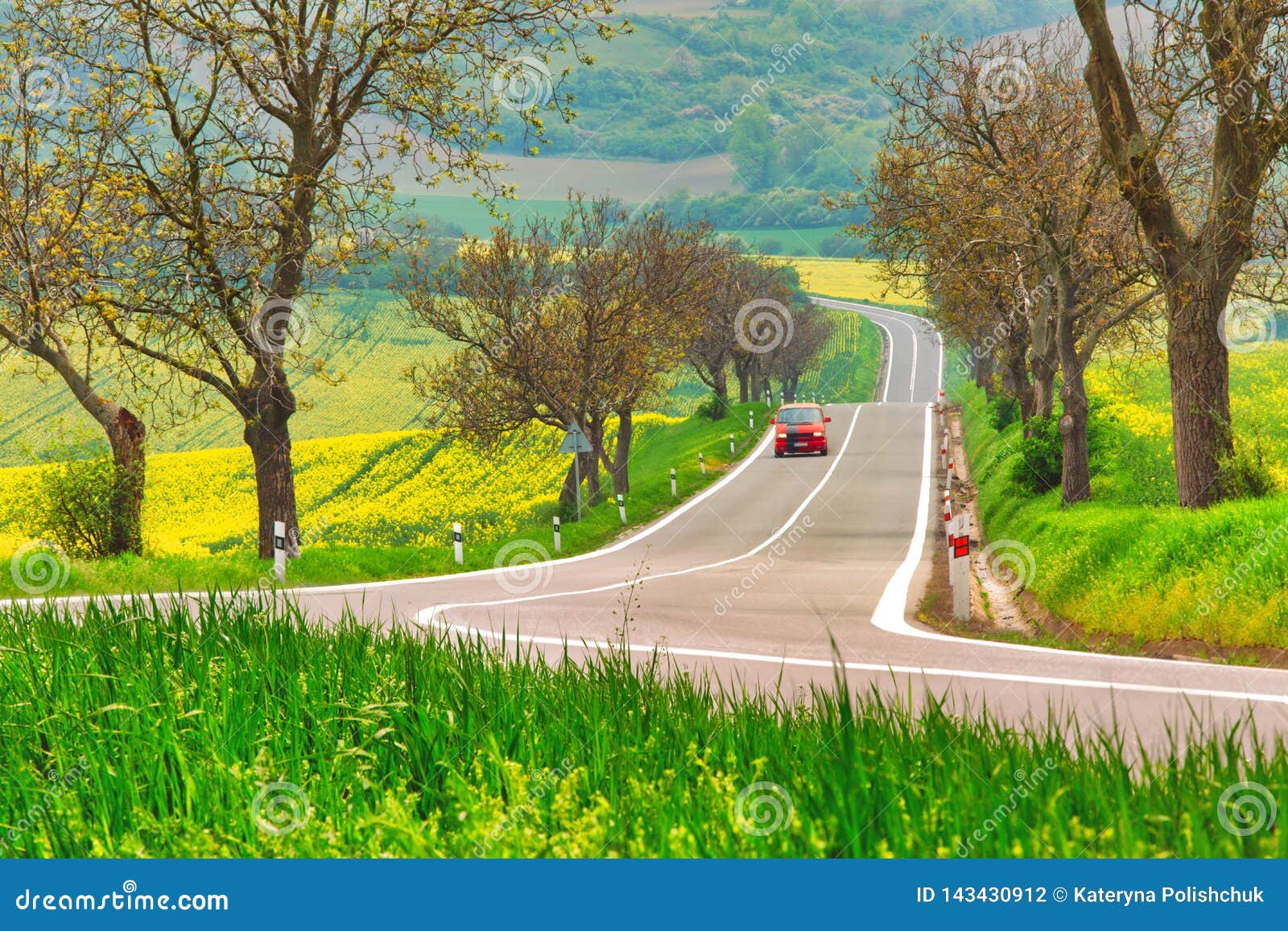 Country Road with Row of Trees and Red Car Stock Photo - Image of ...