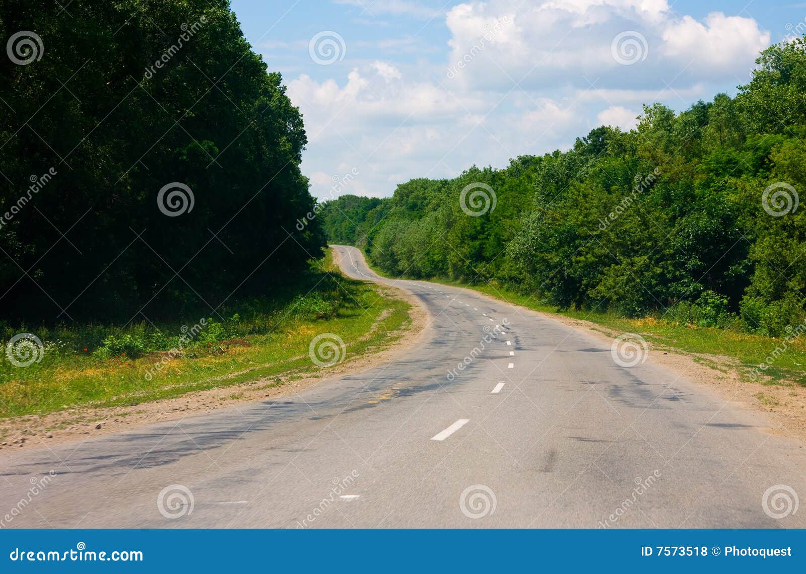 Country road in Ukraine stock photo. Image of green, grass - 7573518
