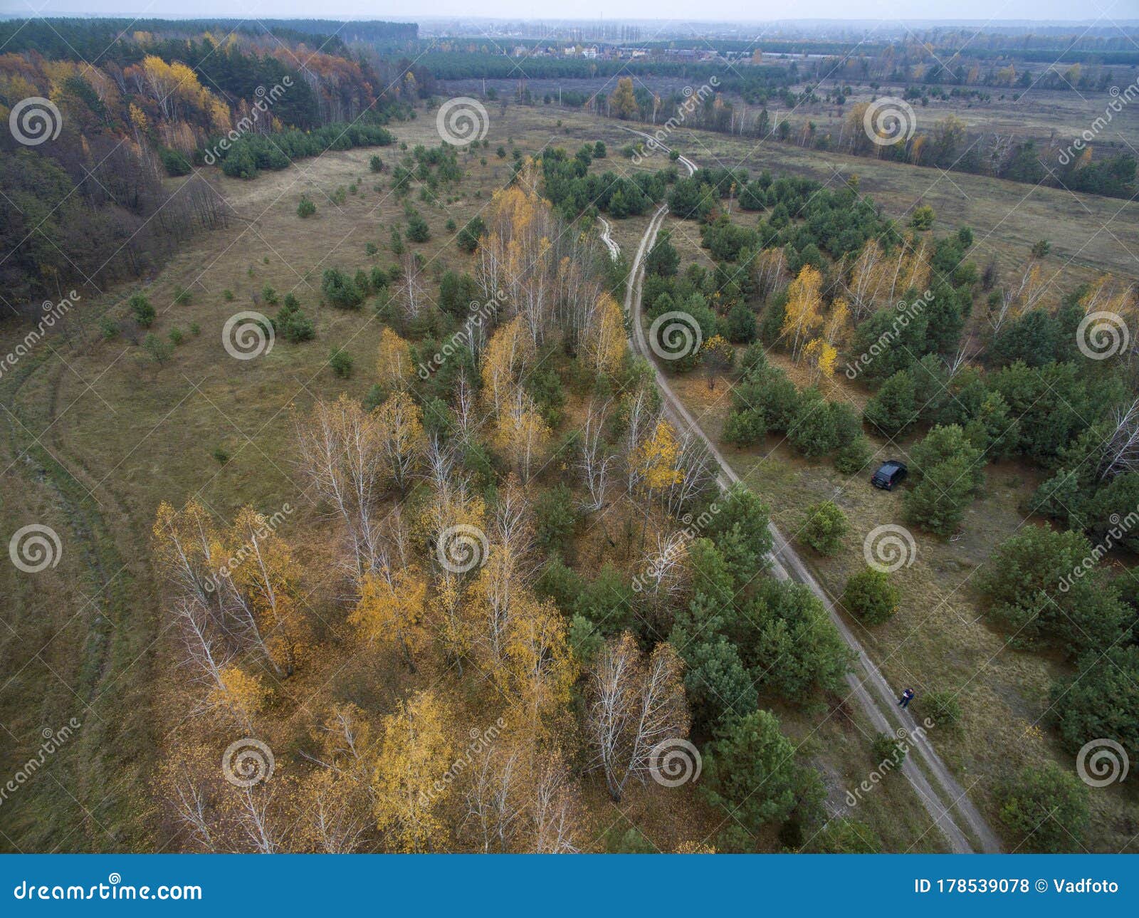 Country Road, View from Above Stock Photo - Image of aerial, meadow ...