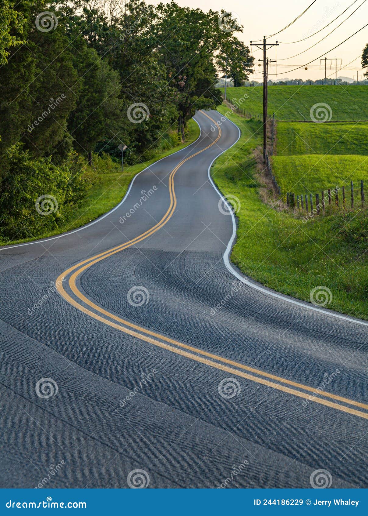 Weave Lane