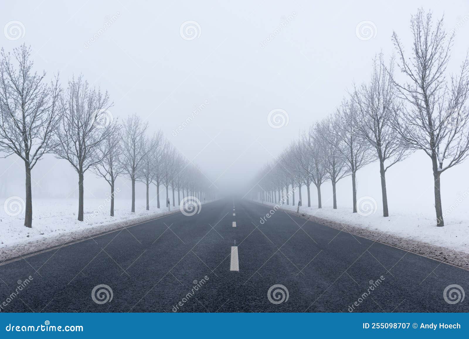 A Country Road in Winter with Bare Trees on the Side of the Road Stock ...