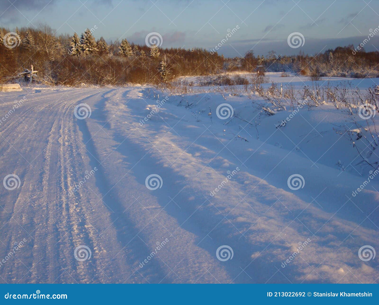 Country road in winter stock photo. Image of country - 213022692