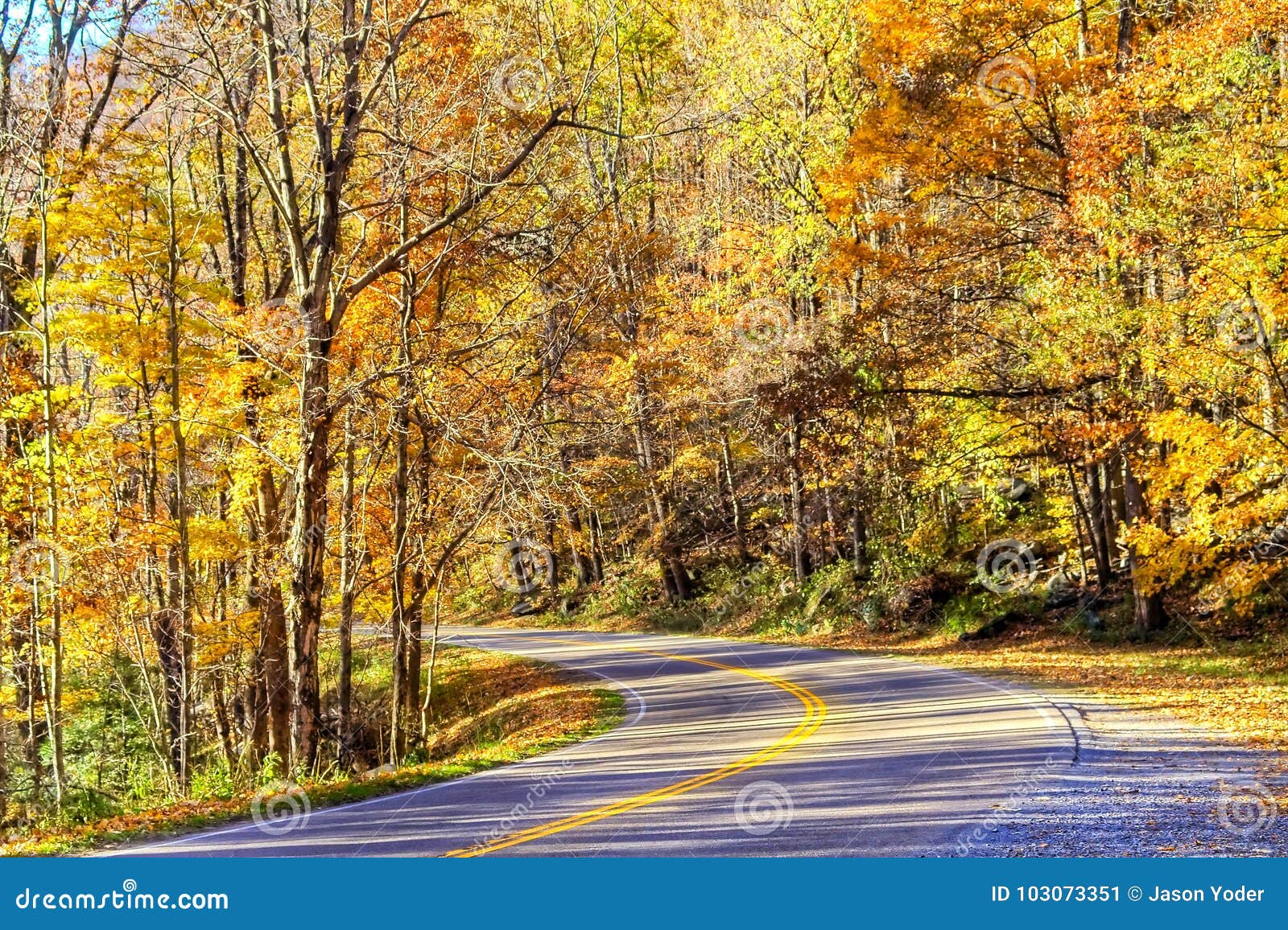 Country Road stock image. Image of autumn, environment - 103073351
