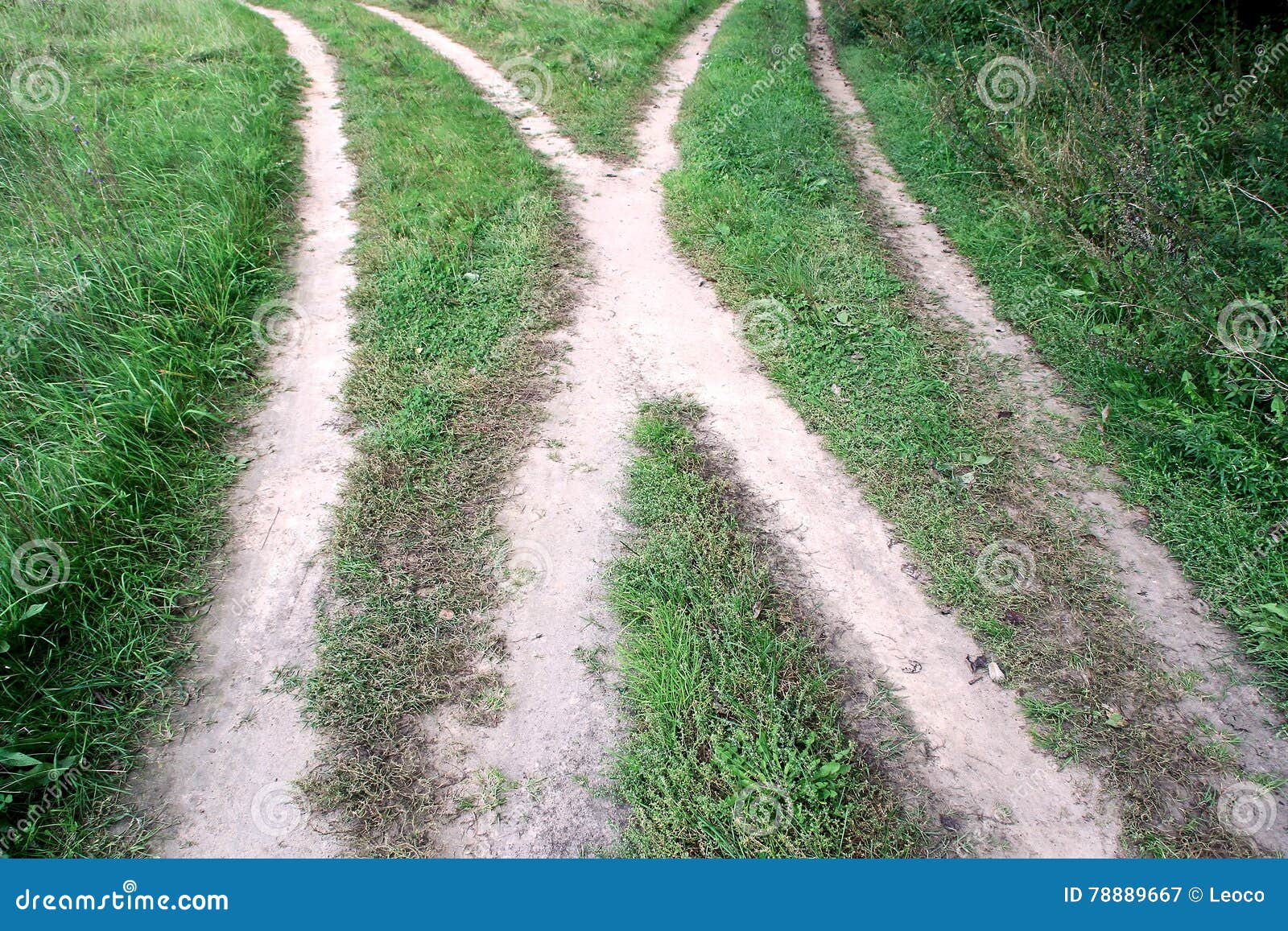 Country roads stock image. Image of branching, nature - 78889667
