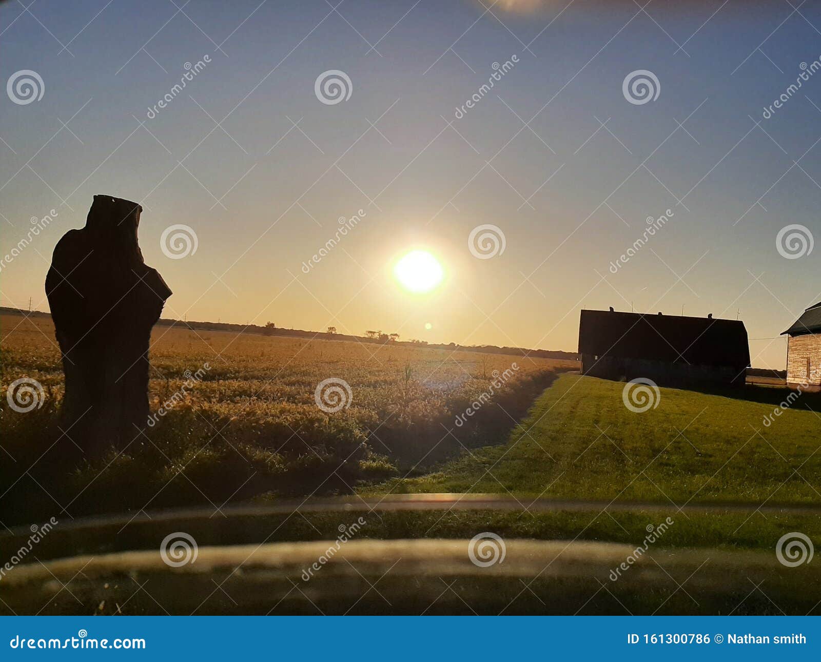 Country roadside sunshine stock photo. Image of roadside - 161300786
