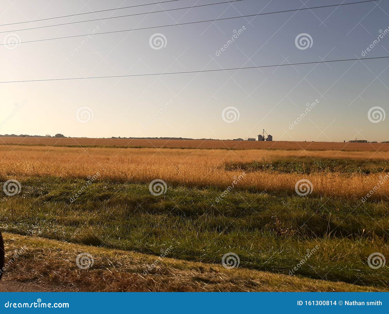 Country roadside sunshine stock photo. Image of country - 161300814