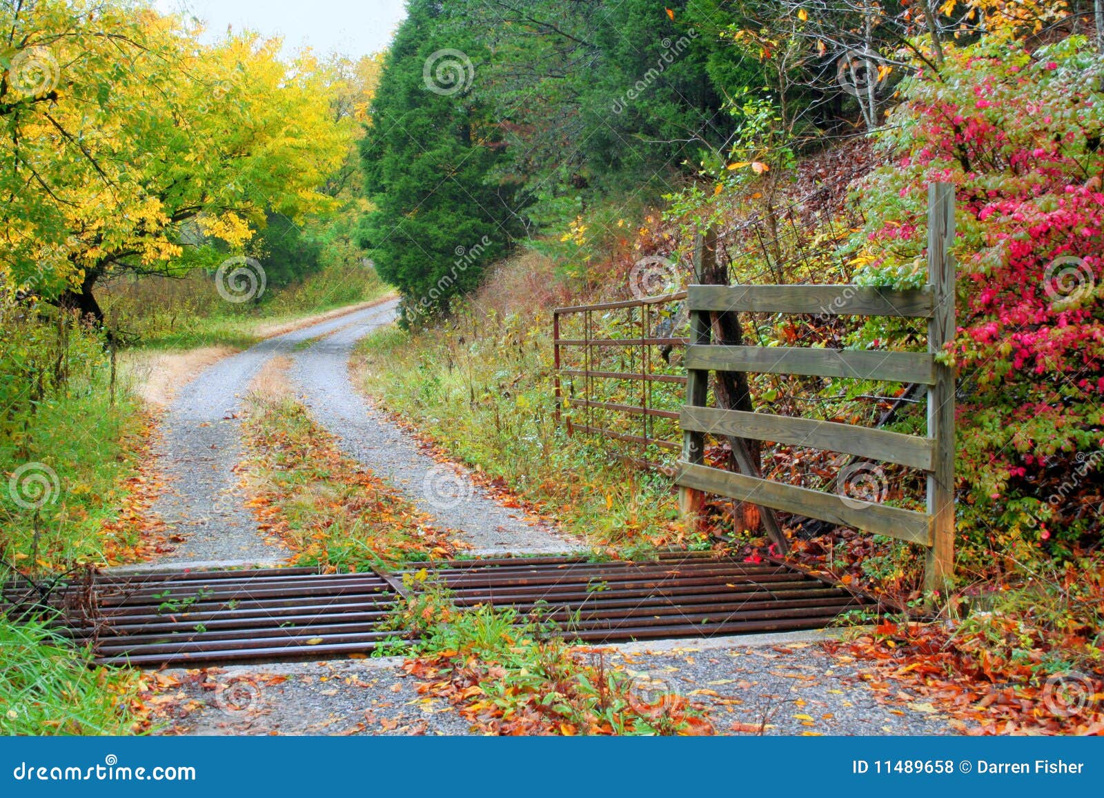 Country Scene stock photo. Image of carpet, country, avenue - 11489658