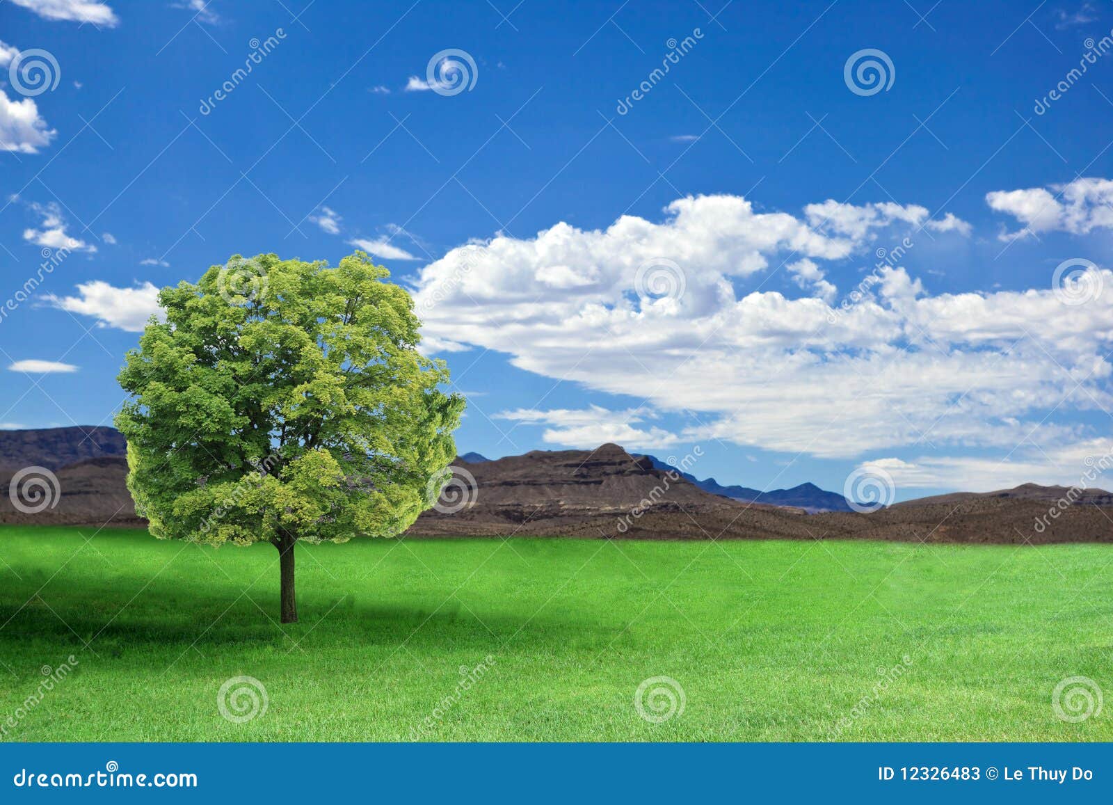 Country Scene stock image. Image of country, land, tree - 12326483