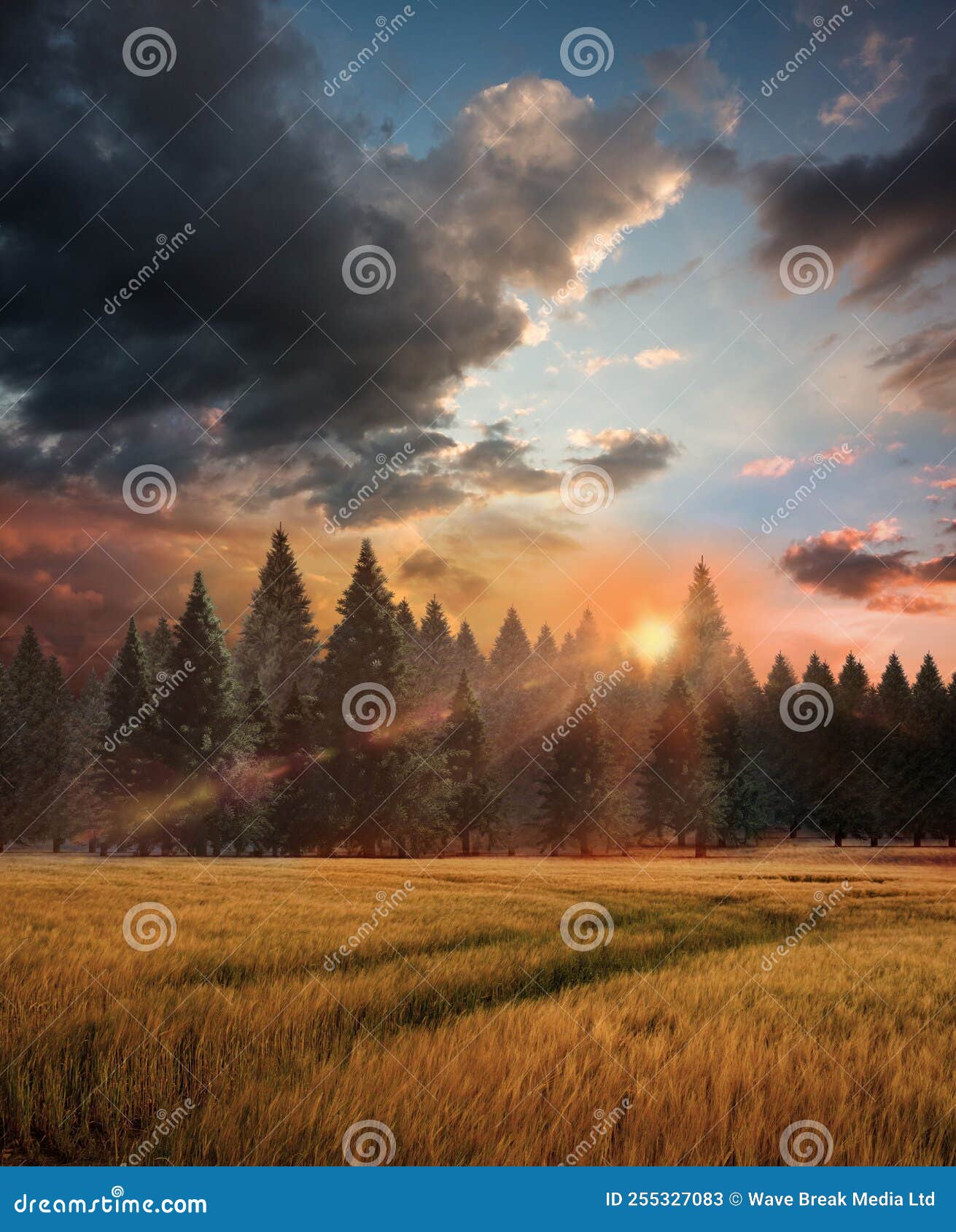 Country scene stock image. Image of tree, trees, sunset - 255327083