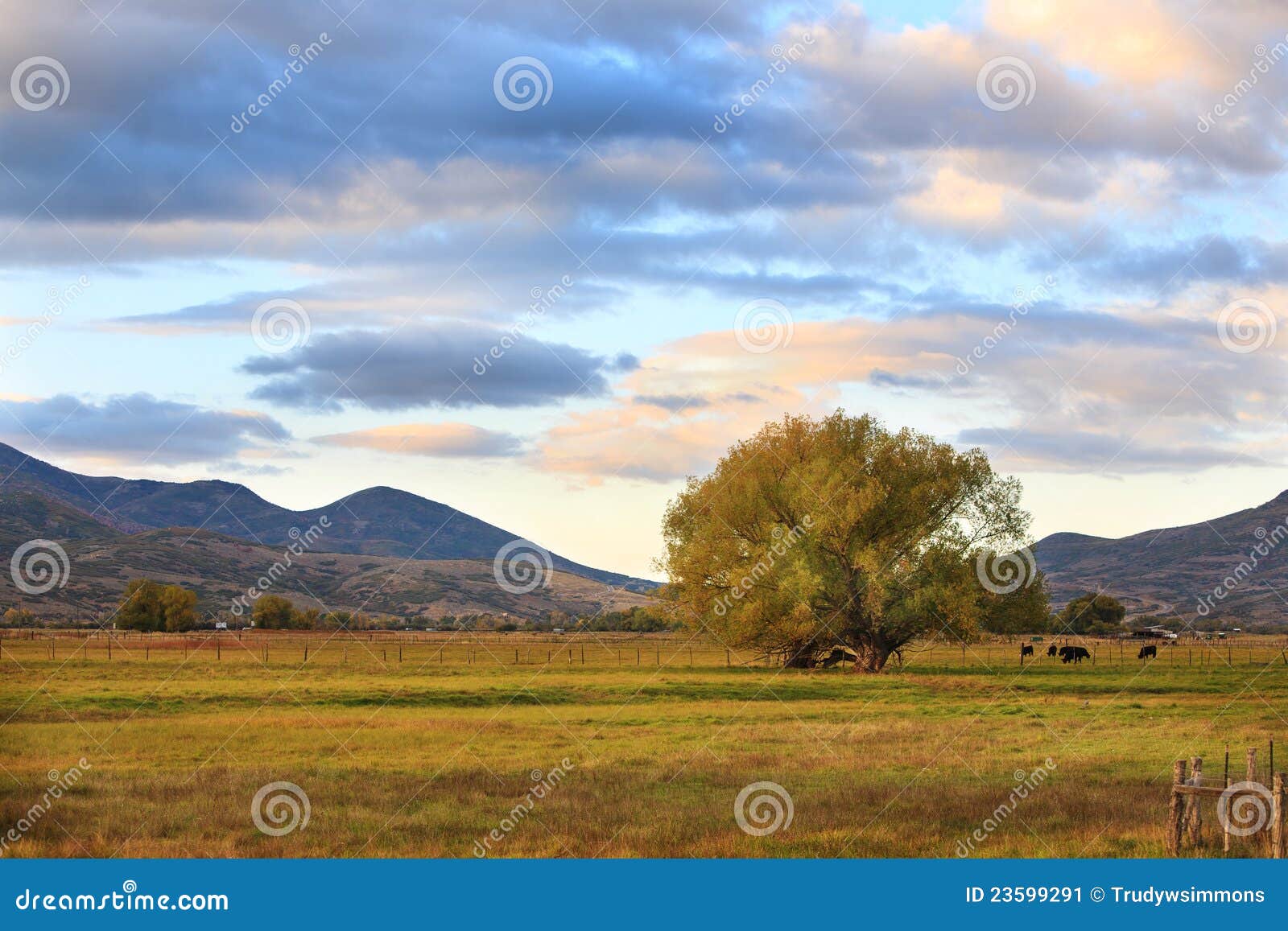 Country Scene at Sunset stock image. Image of agriculture - 23599291