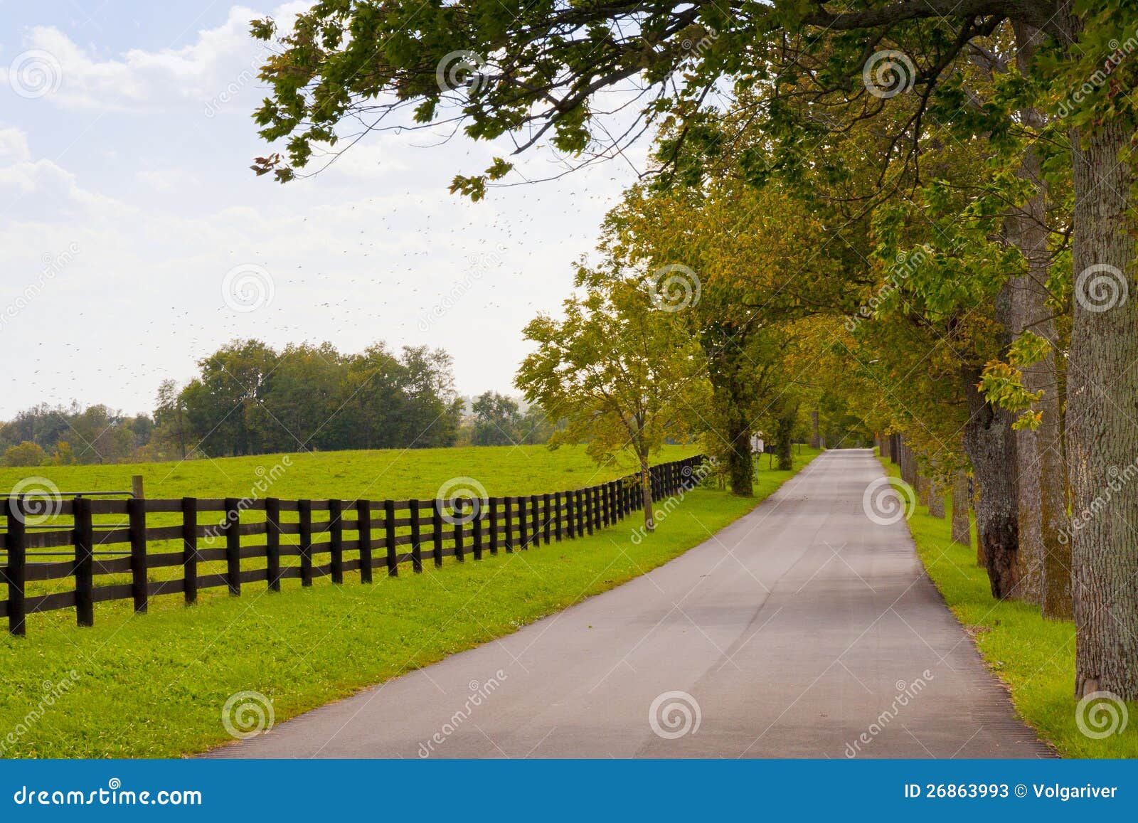 Country Scenery on Beginning of Autumn Season Stock Image - Image of ...