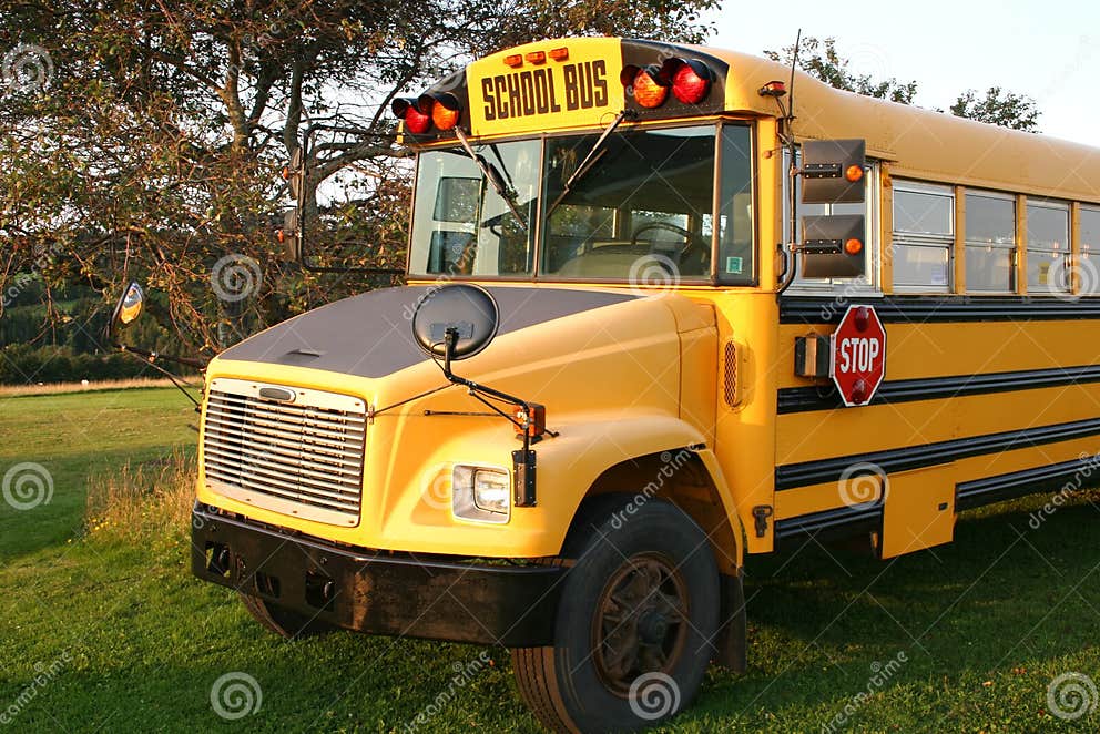 Country School Bus stock image. Image of education, transport - 1253089