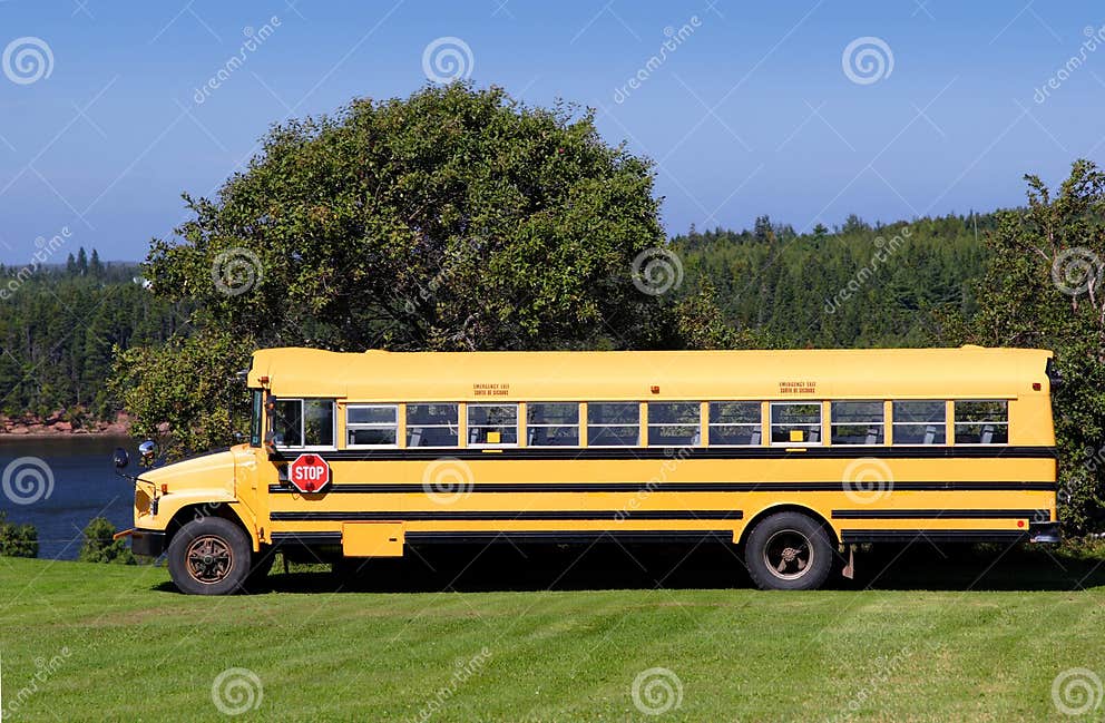 Country School Bus stock photo. Image of transportation - 3129118