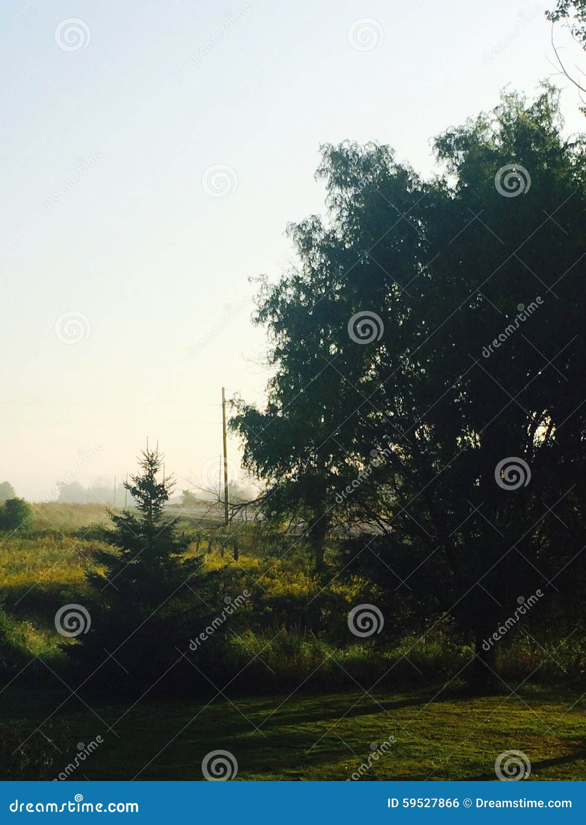 Country setting stock photo. Image of trees, setting - 59527866