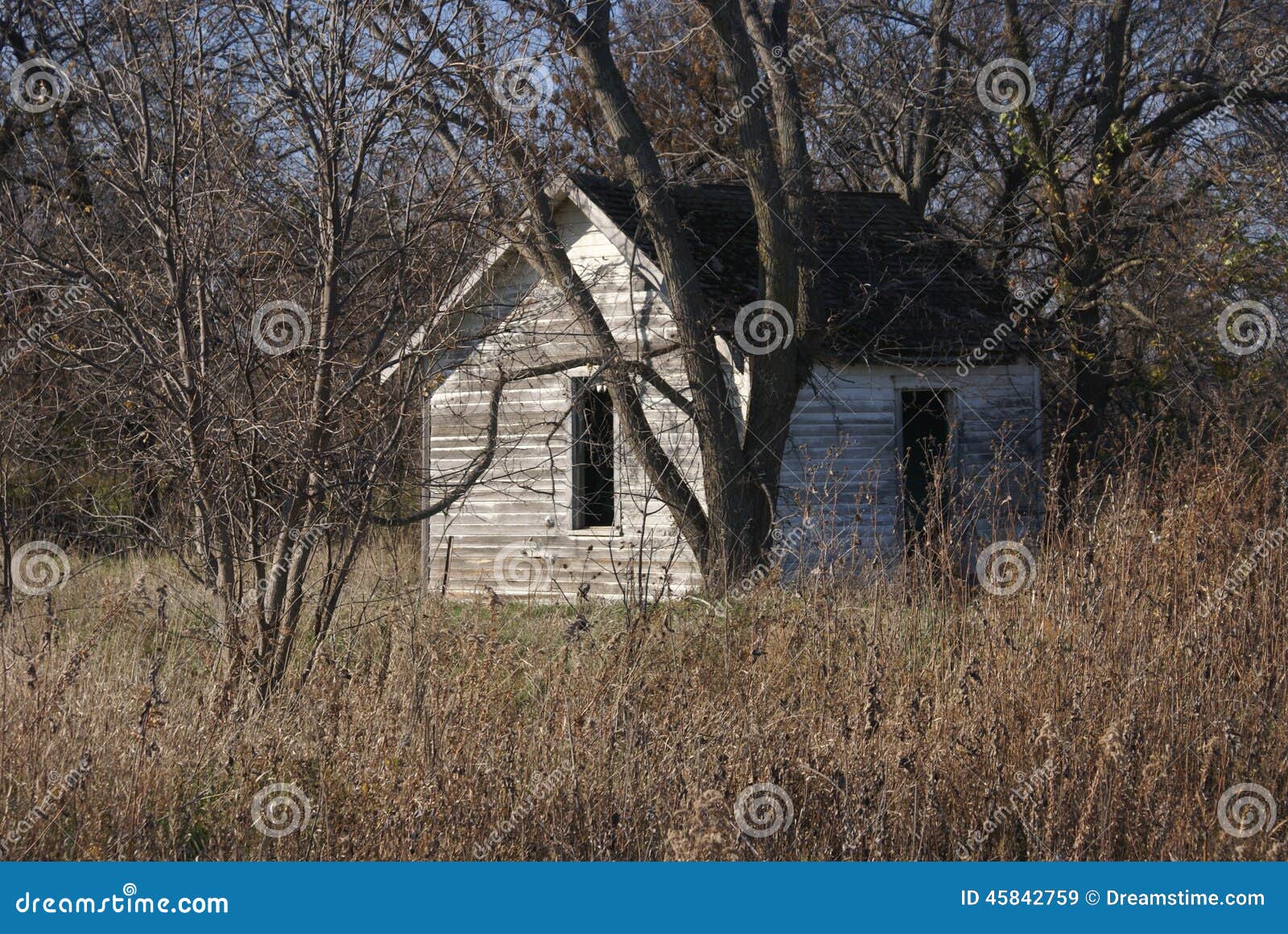Country shack stock image. Image of haunted, antique - 45842759