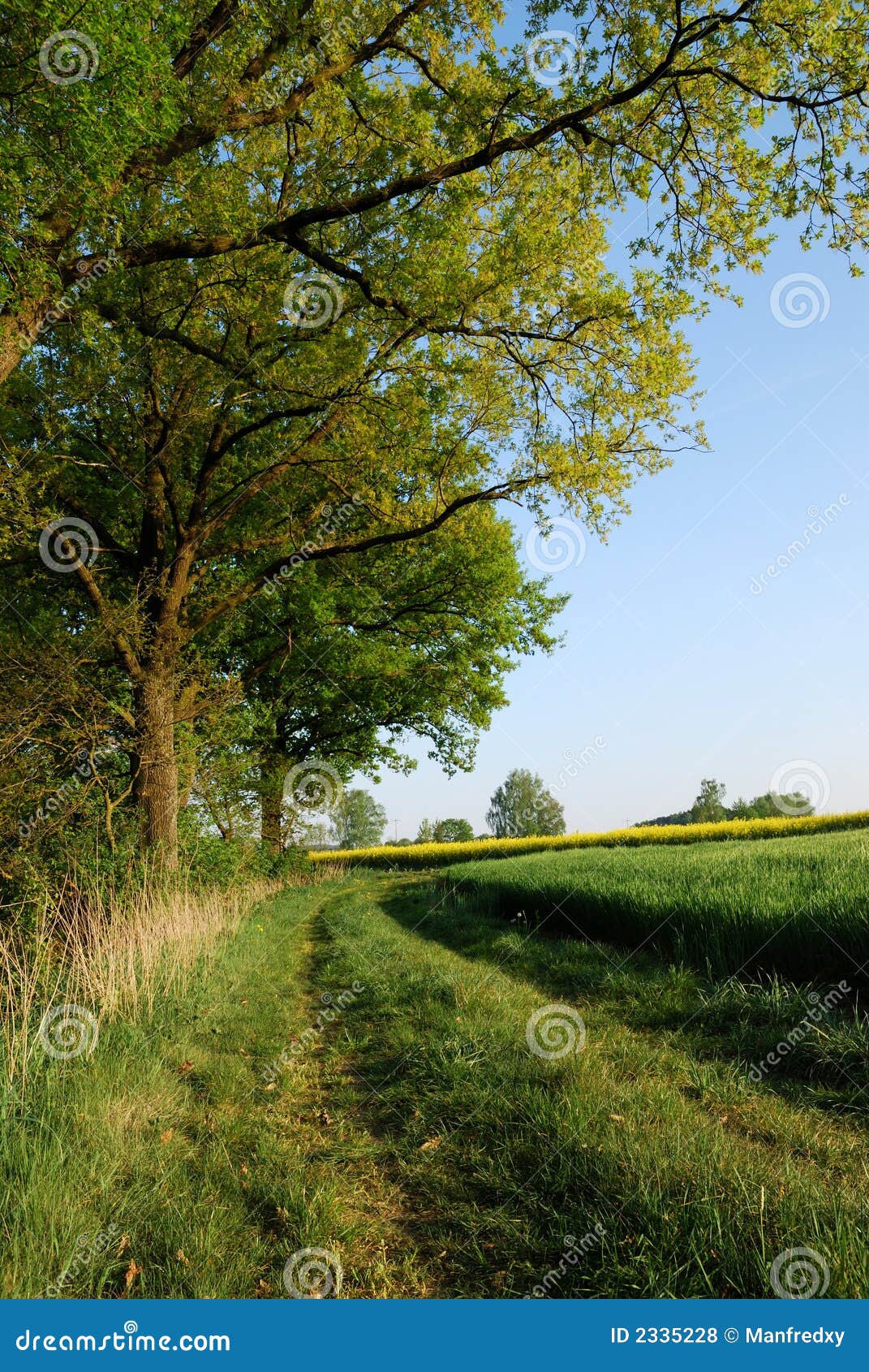 Country side stock photo. Image of lane, rural, green - 2335228