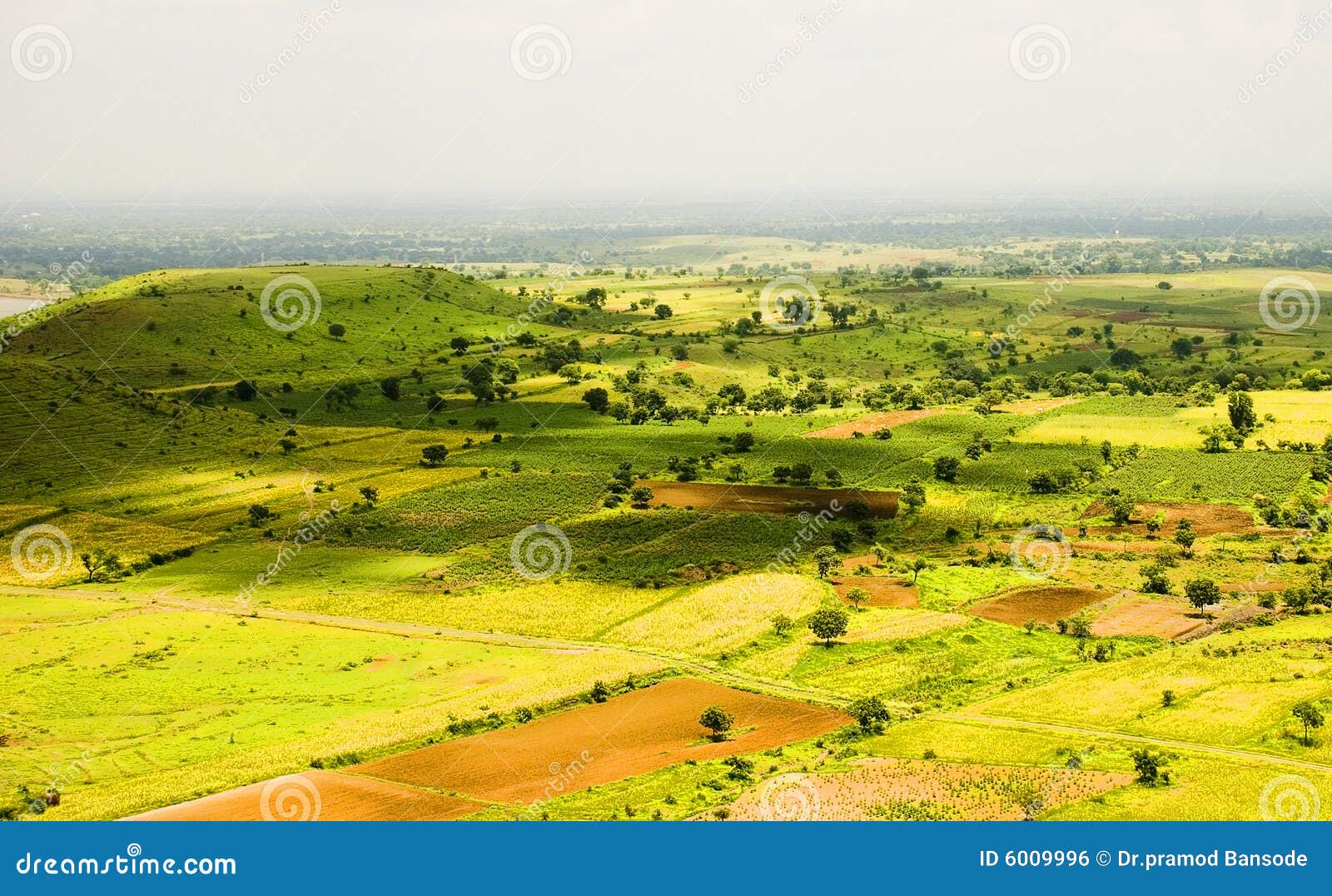 Country side stock photo. Image of agriculture, wheat - 6009996