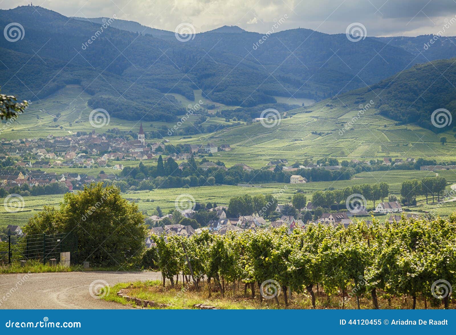 Country Side of Alsace Region Stock Image - Image of european, nature ...
