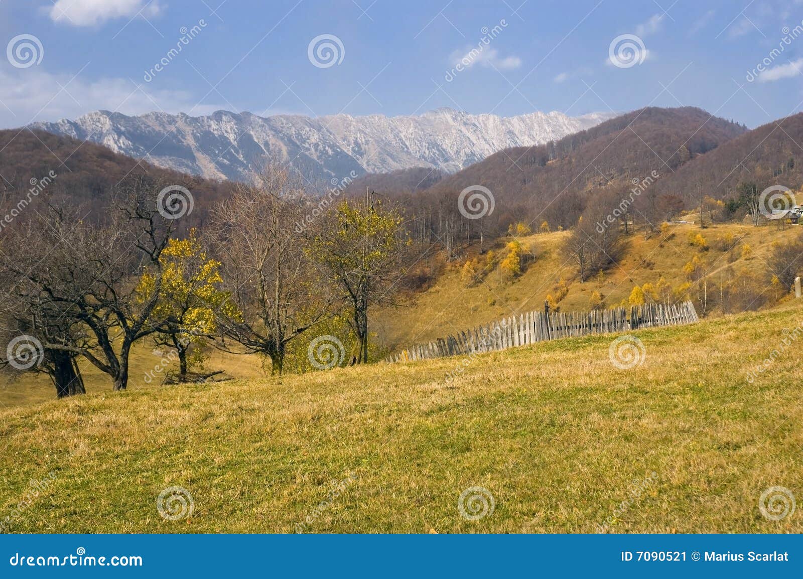 Country side in the fall stock image. Image of forest - 7090521