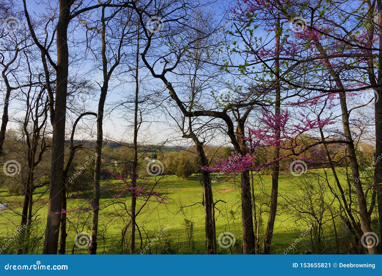 Countryside Landscape View in Eastern Tennessee Stock Image - Image of ...