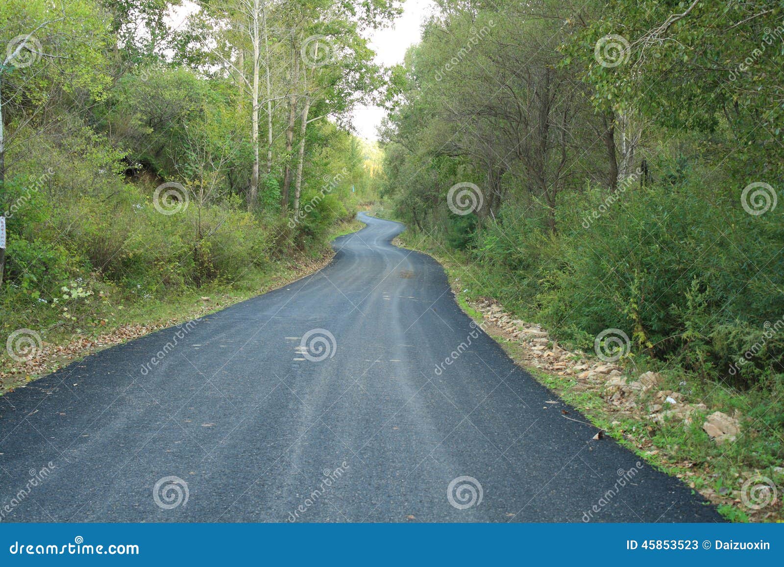 Country side road stock image. Image of destinations - 45853523