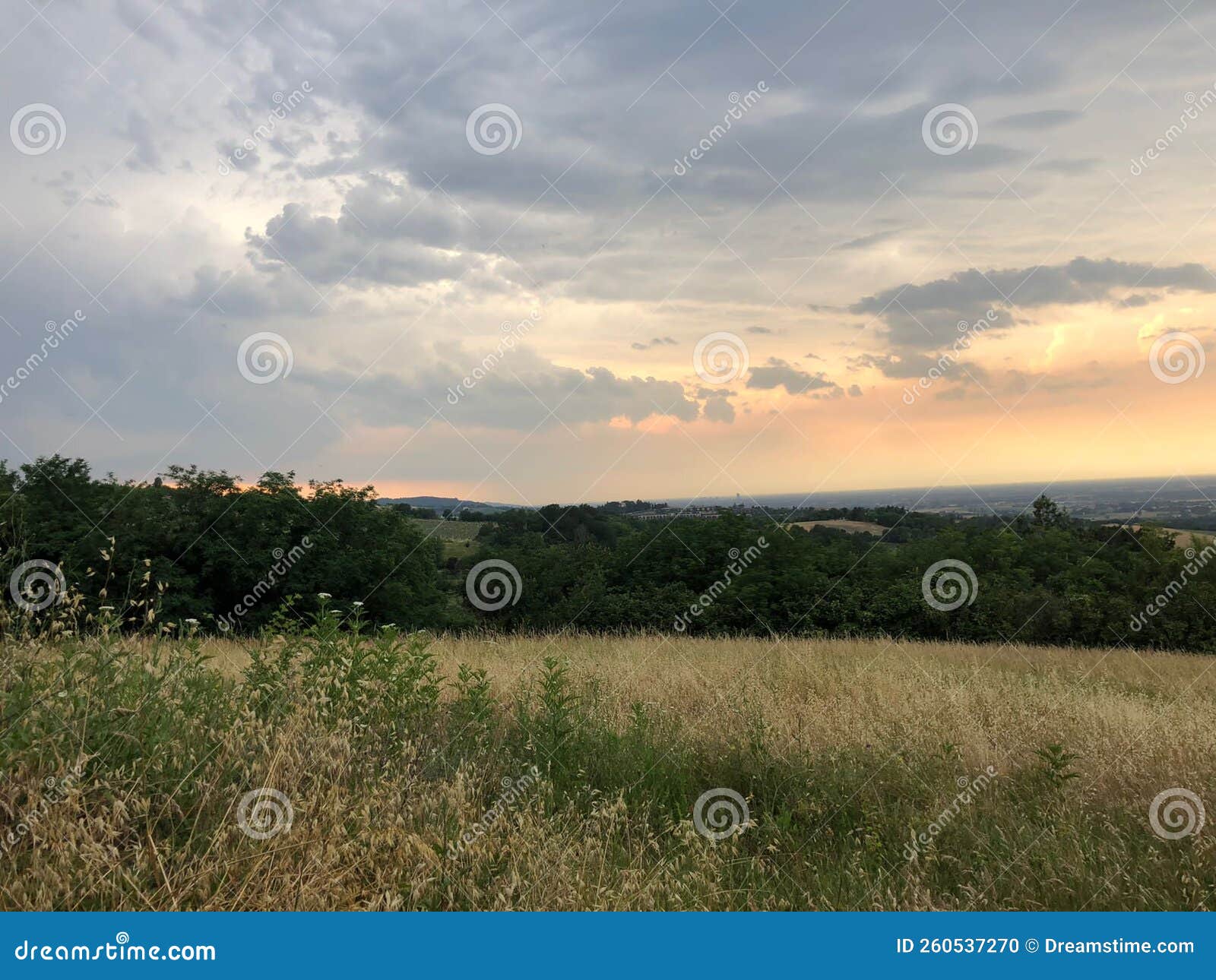 Country side view stock photo. Image of agriculture - 260537270