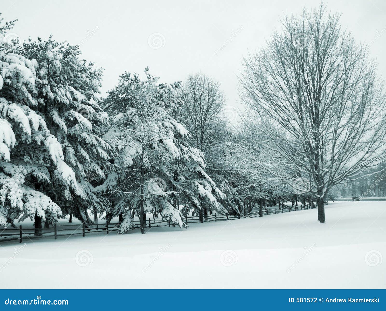 Country Snow stock photo. Image of quiet, christmas, storm - 581572
