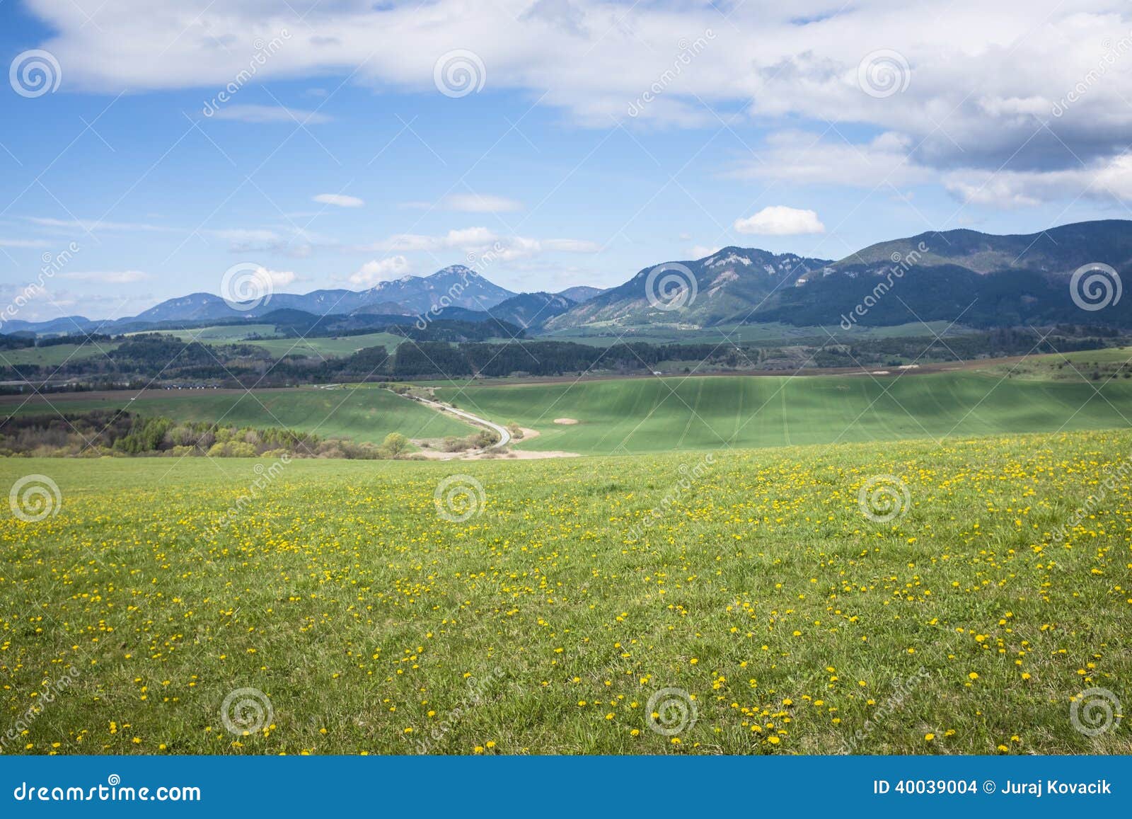 Country in spring stock photo. Image of horizon, country - 40039004