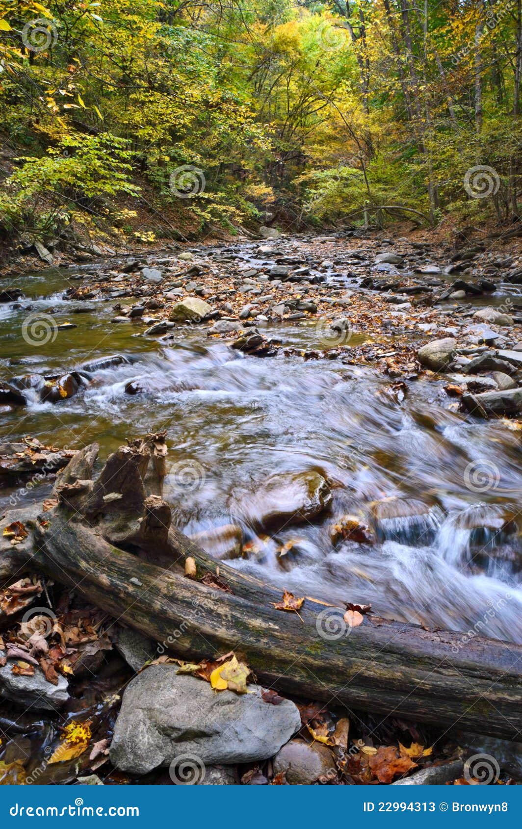 Country Stream stock image. Image of creek, stream, river - 22994313
