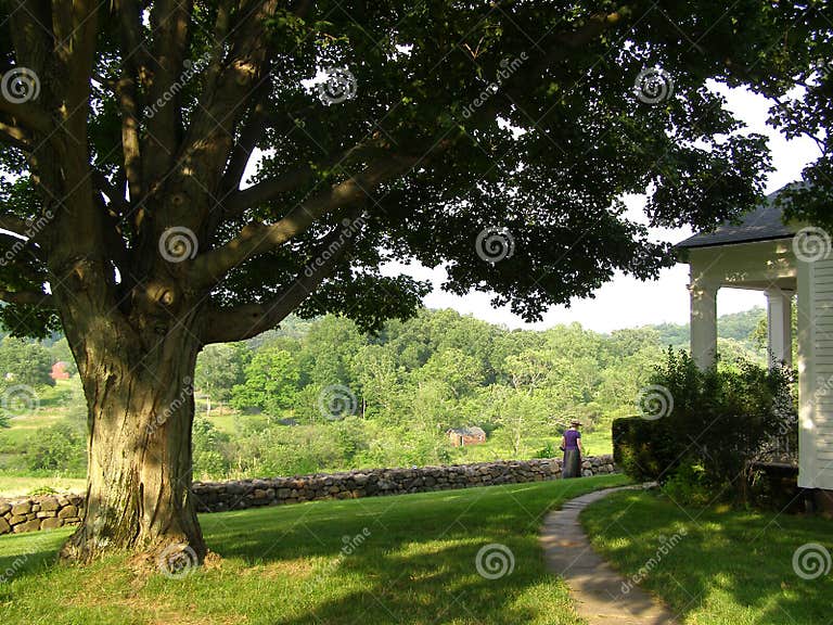Country Stroll stock photo. Image of green, outdoors, connecticut - 5769018