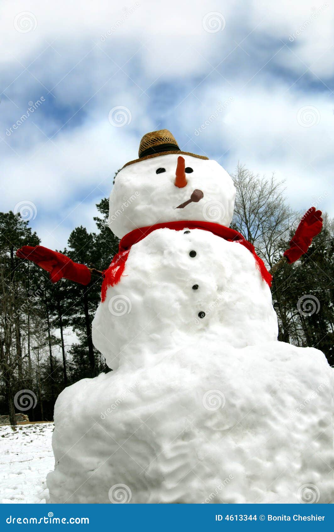 Country style snowman stock photo. Image of humorous, gloves - 4613344