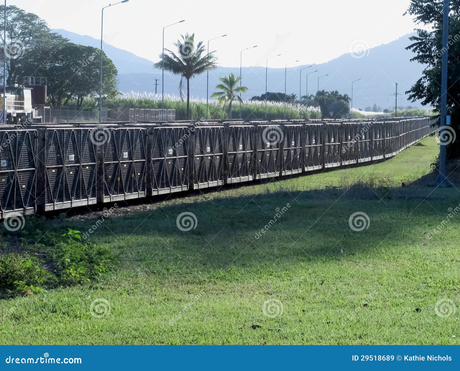 Country Sugar Cane Train stock image. Image of carting - 29518689