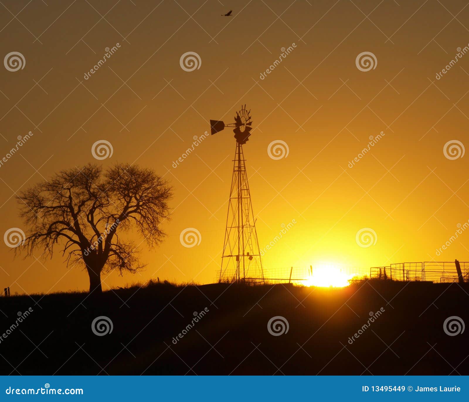 Country Sunrise stock image. Image of clear, ranch, glow - 13495449