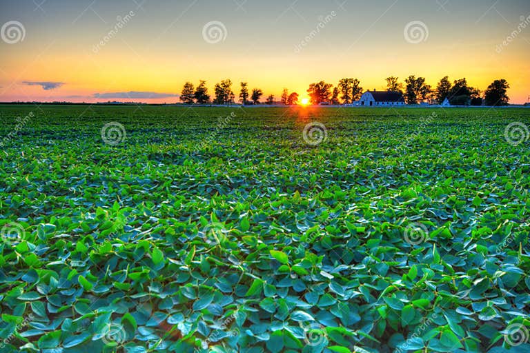 Country sunset stock image. Image of leaves, indiana - 12082525