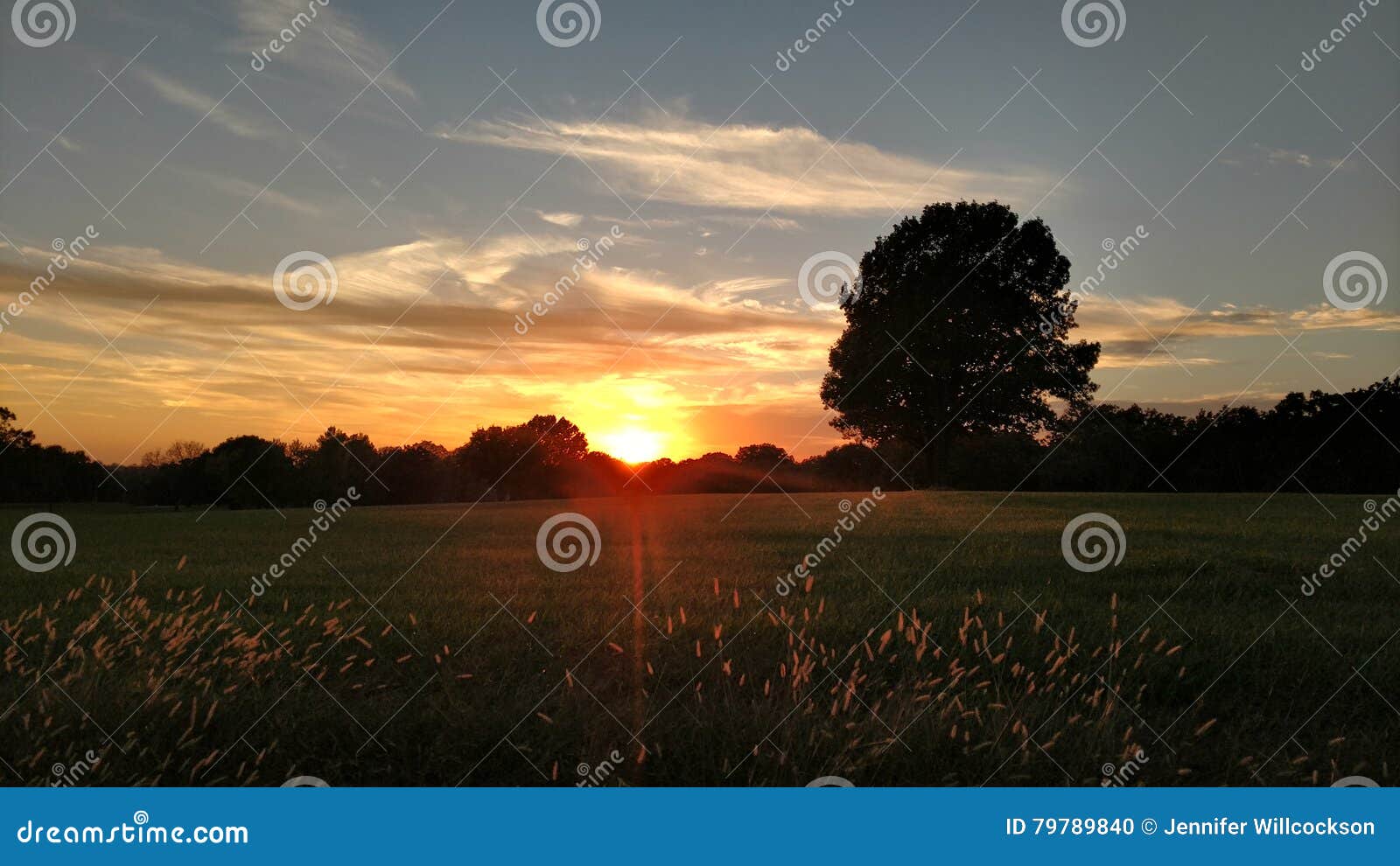 Country Sunset stock photo. Image of beautiful, sunset - 79789840