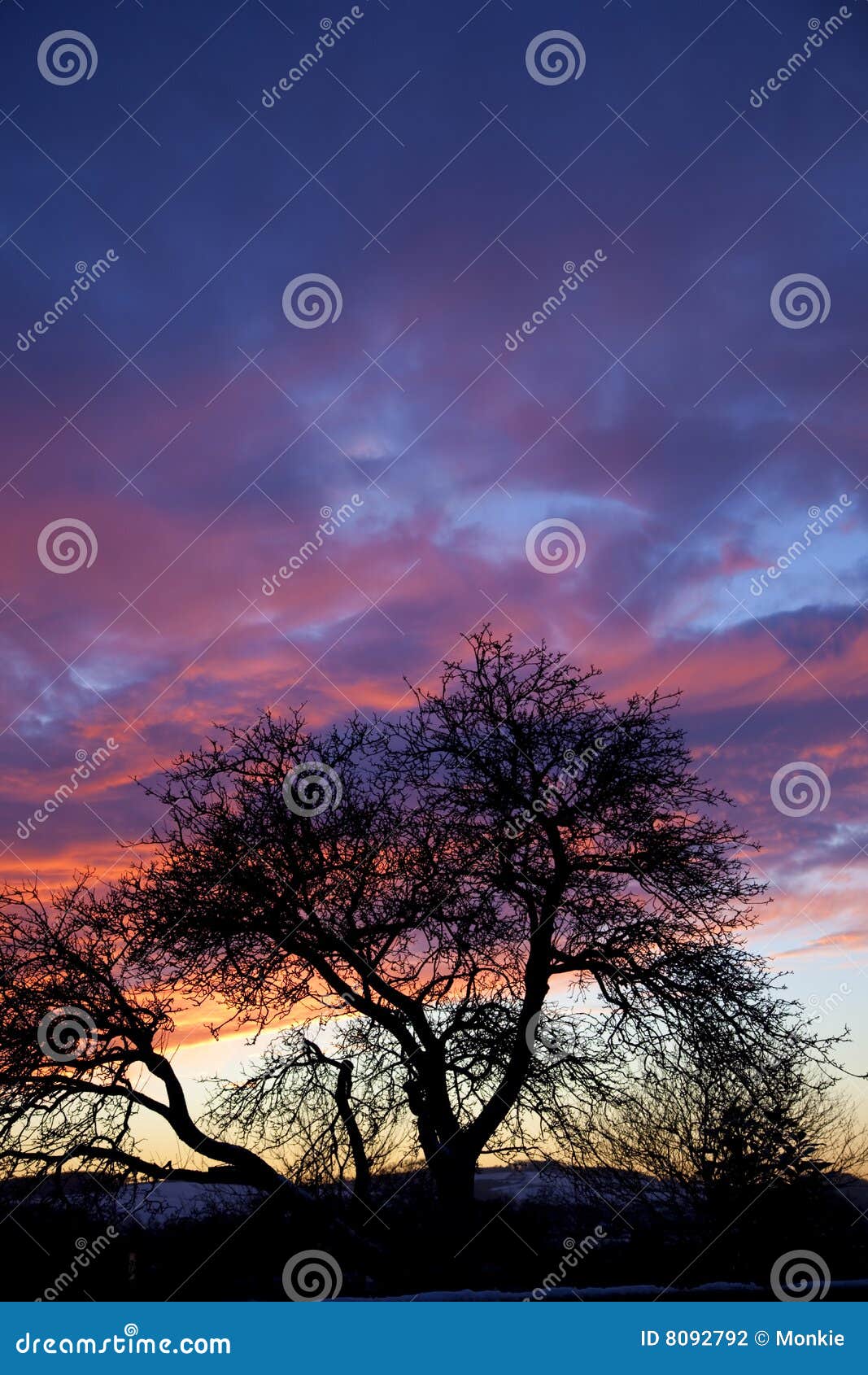 Country Sunset Tree Silhouette Stock Photo - Image of tree, country ...