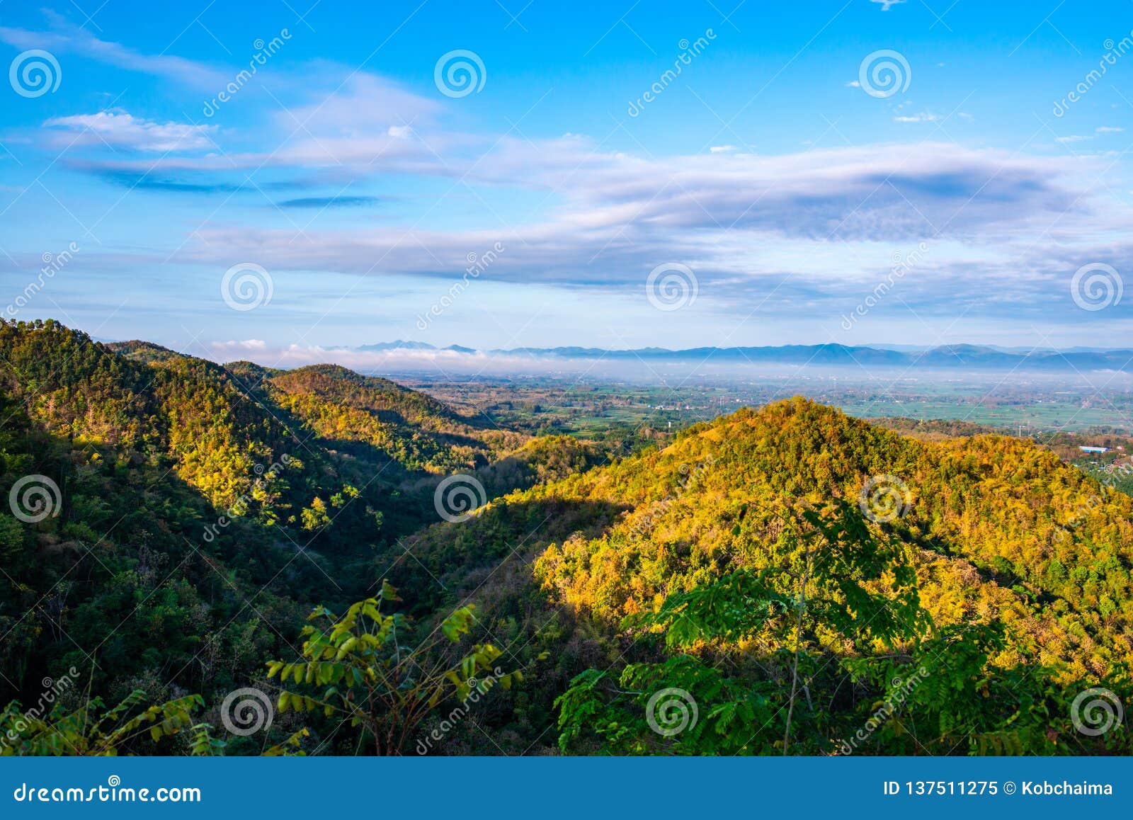 The Country Top View in Phrae Province Stock Image - Image of thai ...