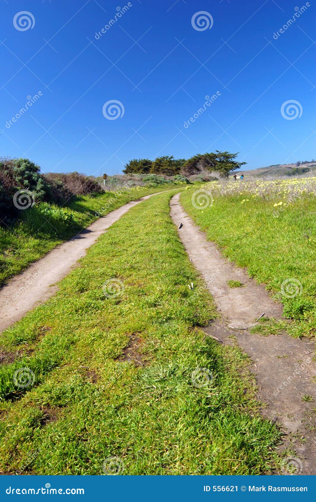 Country trail stock image. Image of road, spring, country - 556621