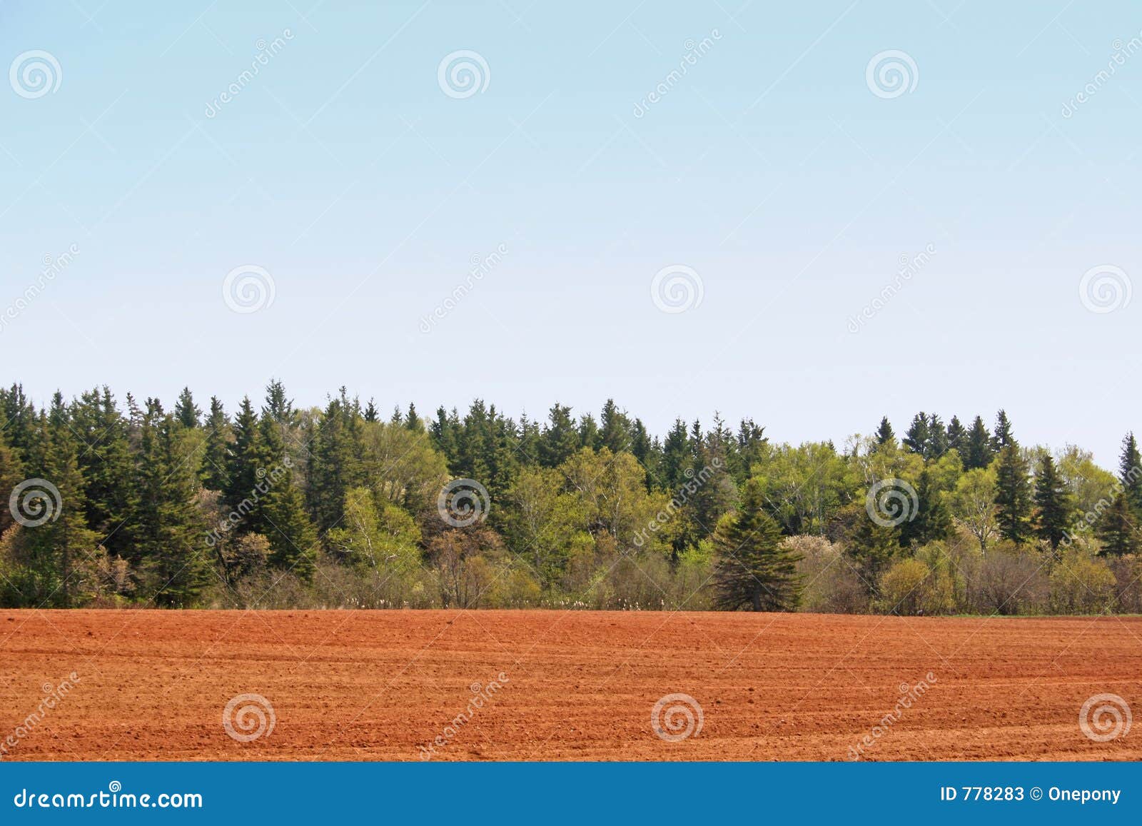 Country Treeline stock image. Image of rural, natural, flower - 778283