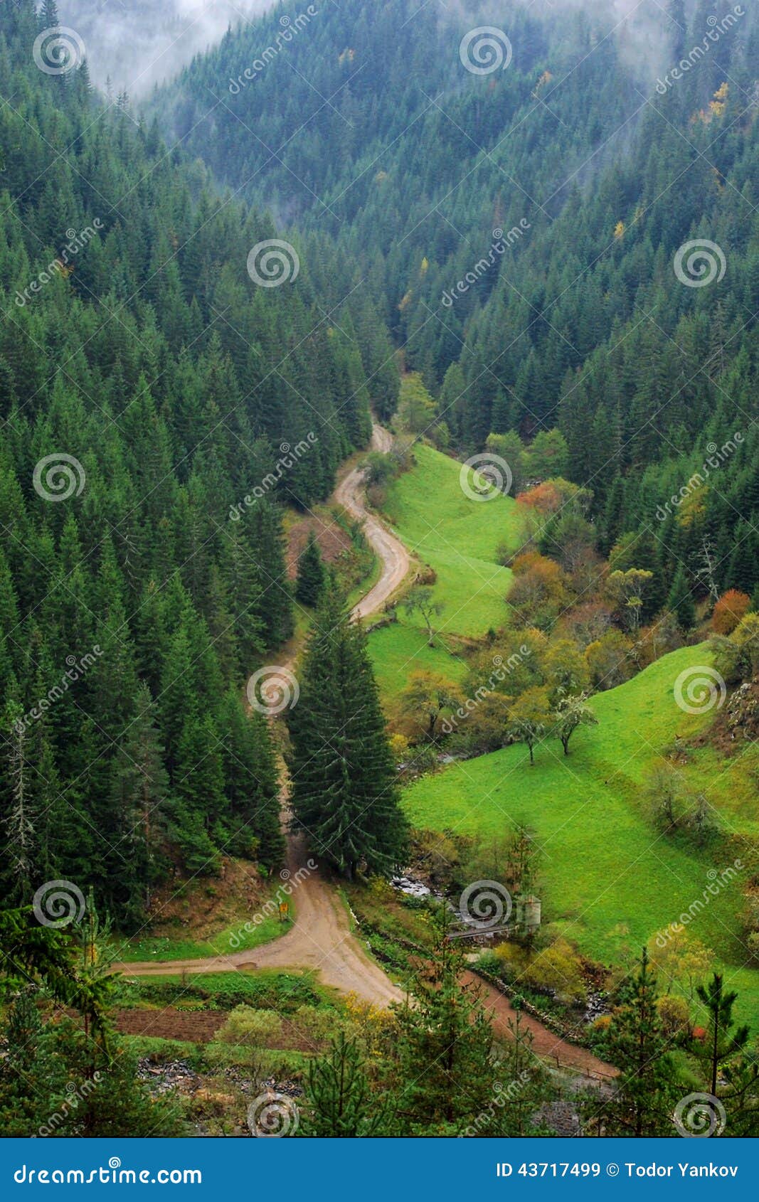 Country valley stock image. Image of america, nature - 43717499