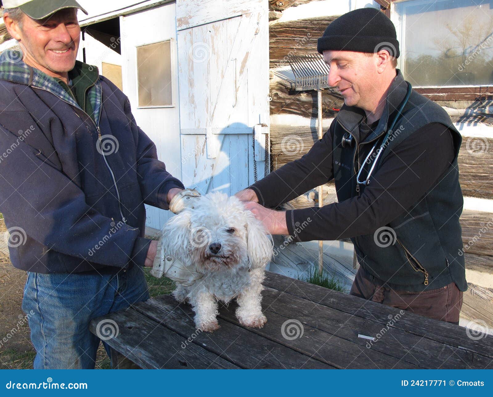 Country Veterinary Makes a Farm Call Stock Image - Image of daytime ...