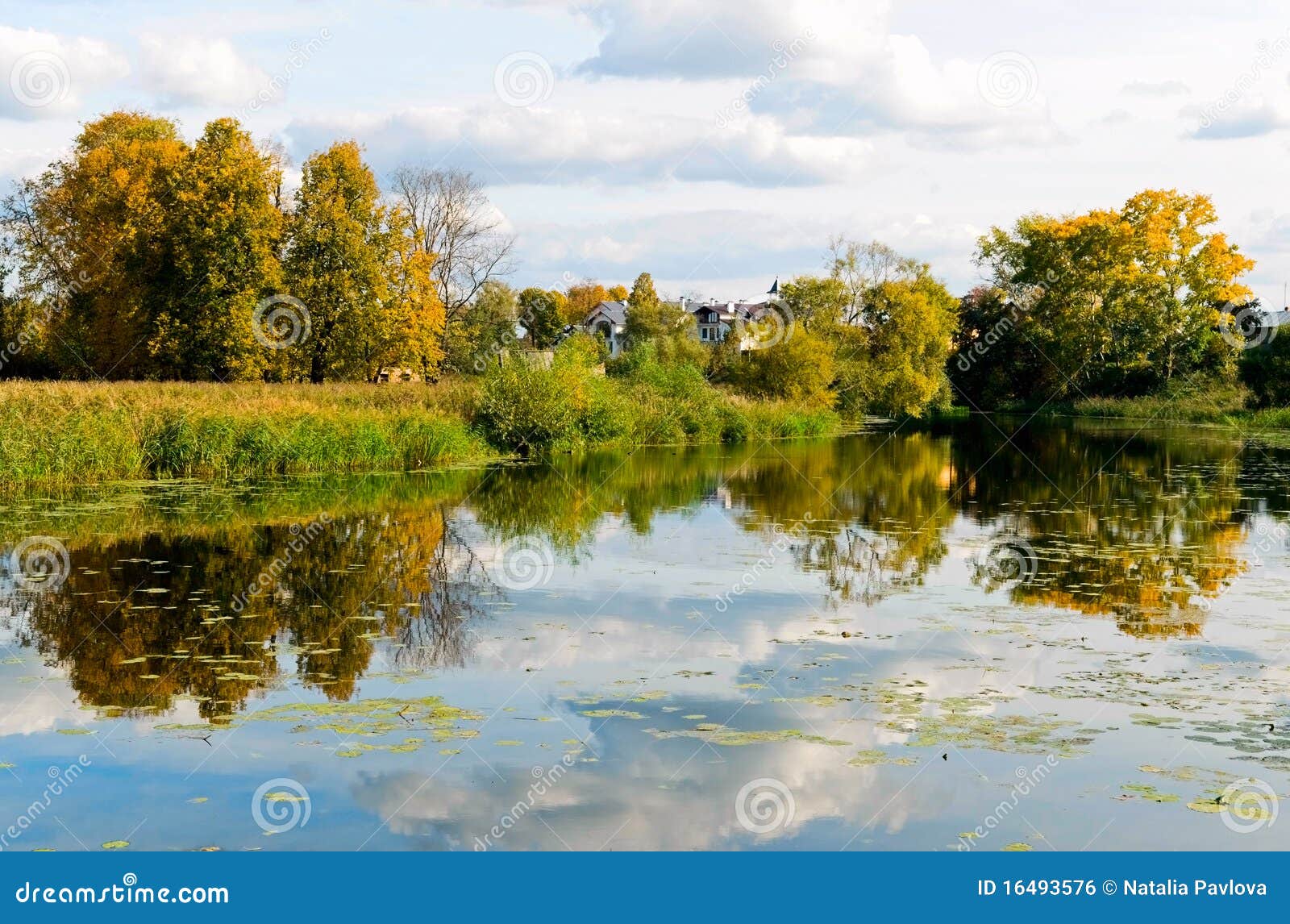 Country view stock photo. Image of rural, trees, reflections - 16493576