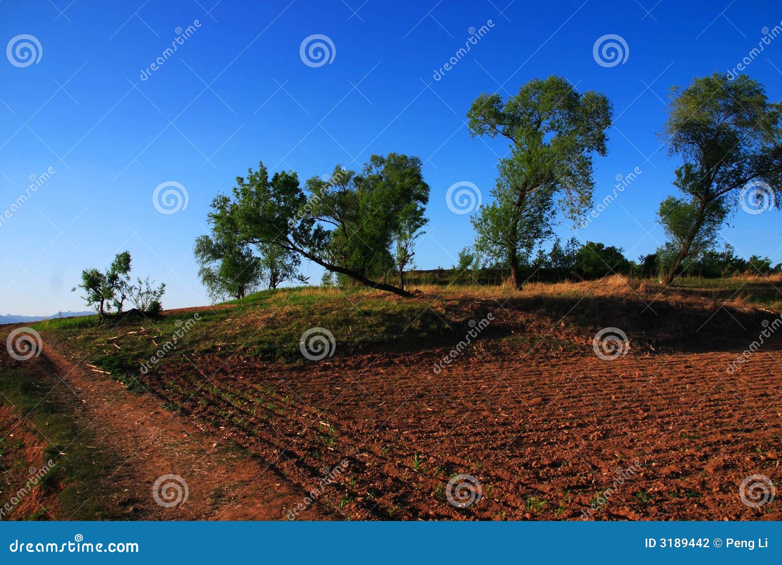 Country view stock photo. Image of sunny, summer, country - 3189442