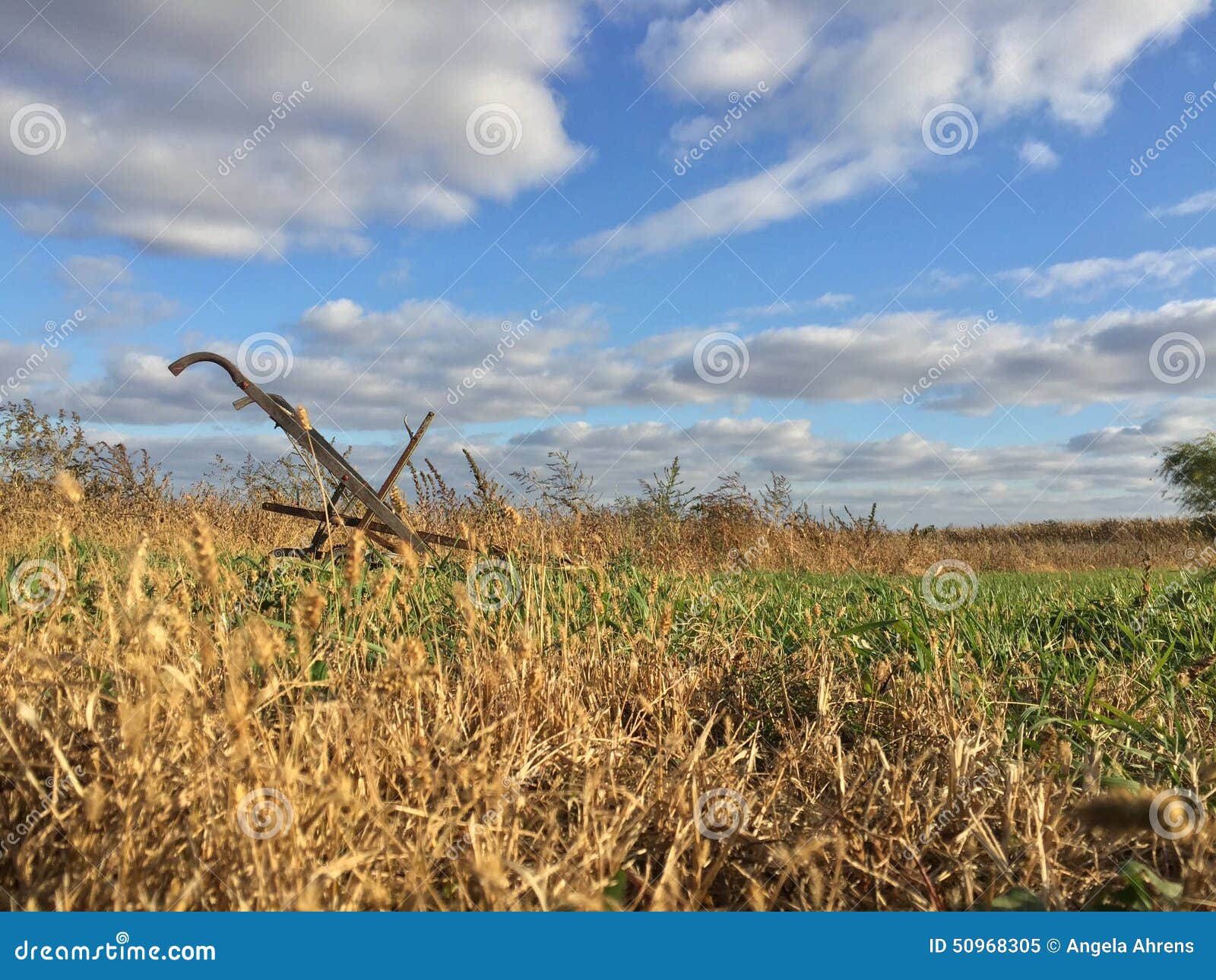 Country view stock image. Image of beautiful, country - 50968305