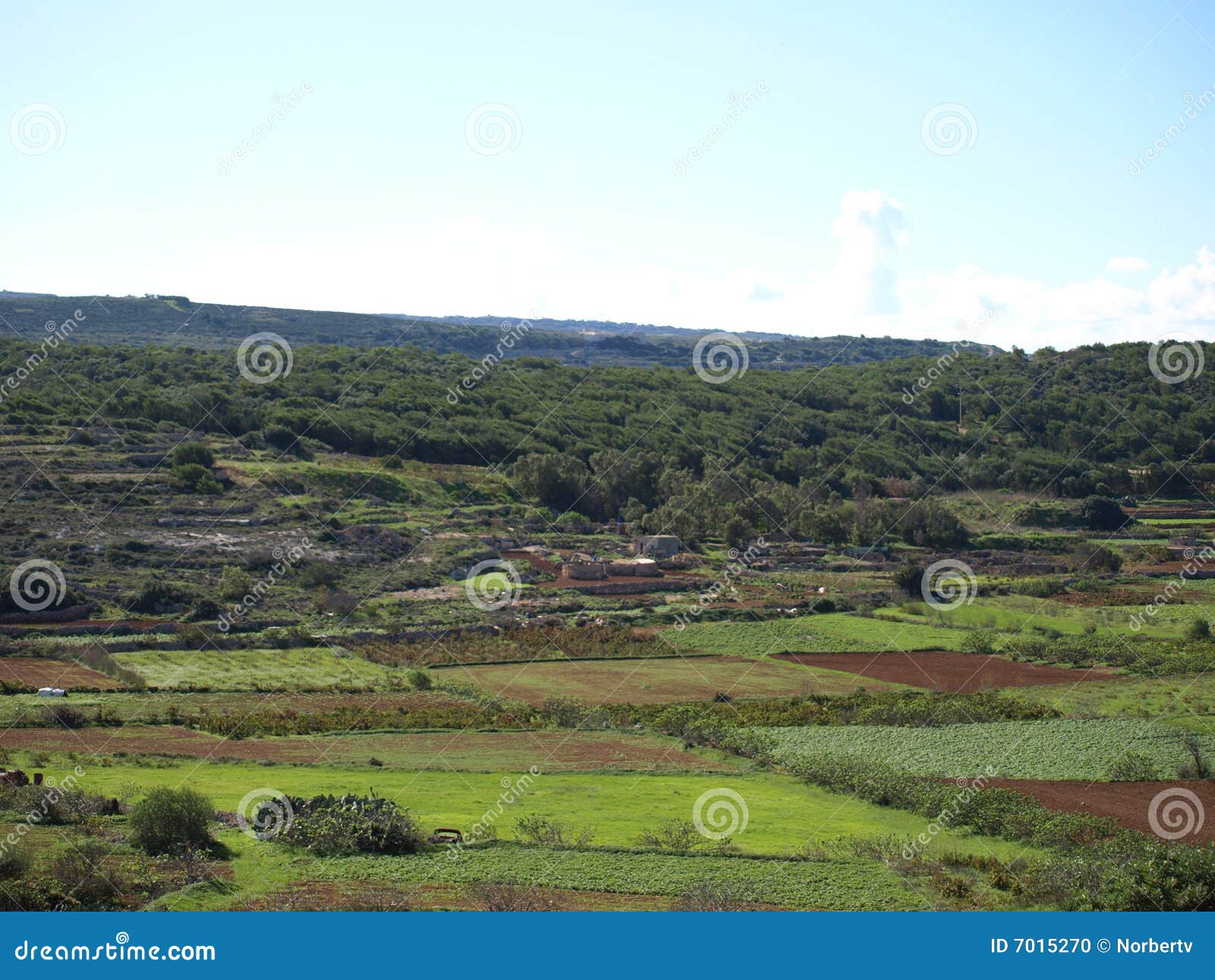 Country View of Malta stock photo. Image of fields, side - 7015270