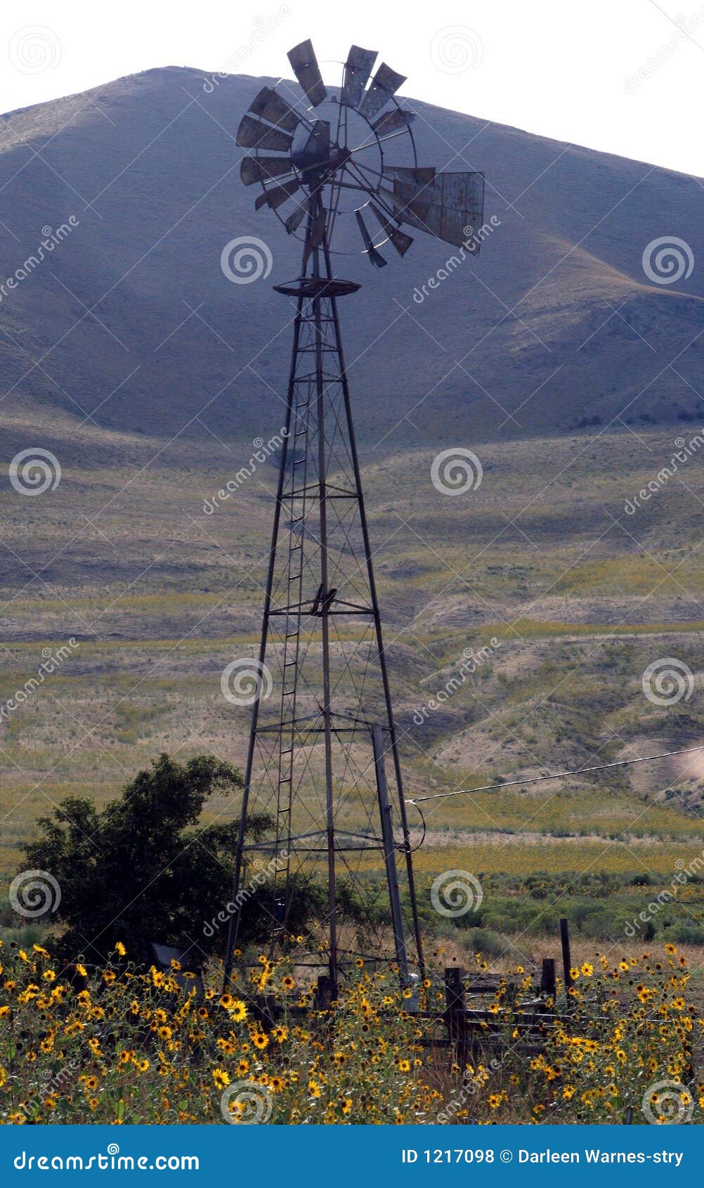 Country Windmill stock photo. Image of mountain, wildflowers - 1217098