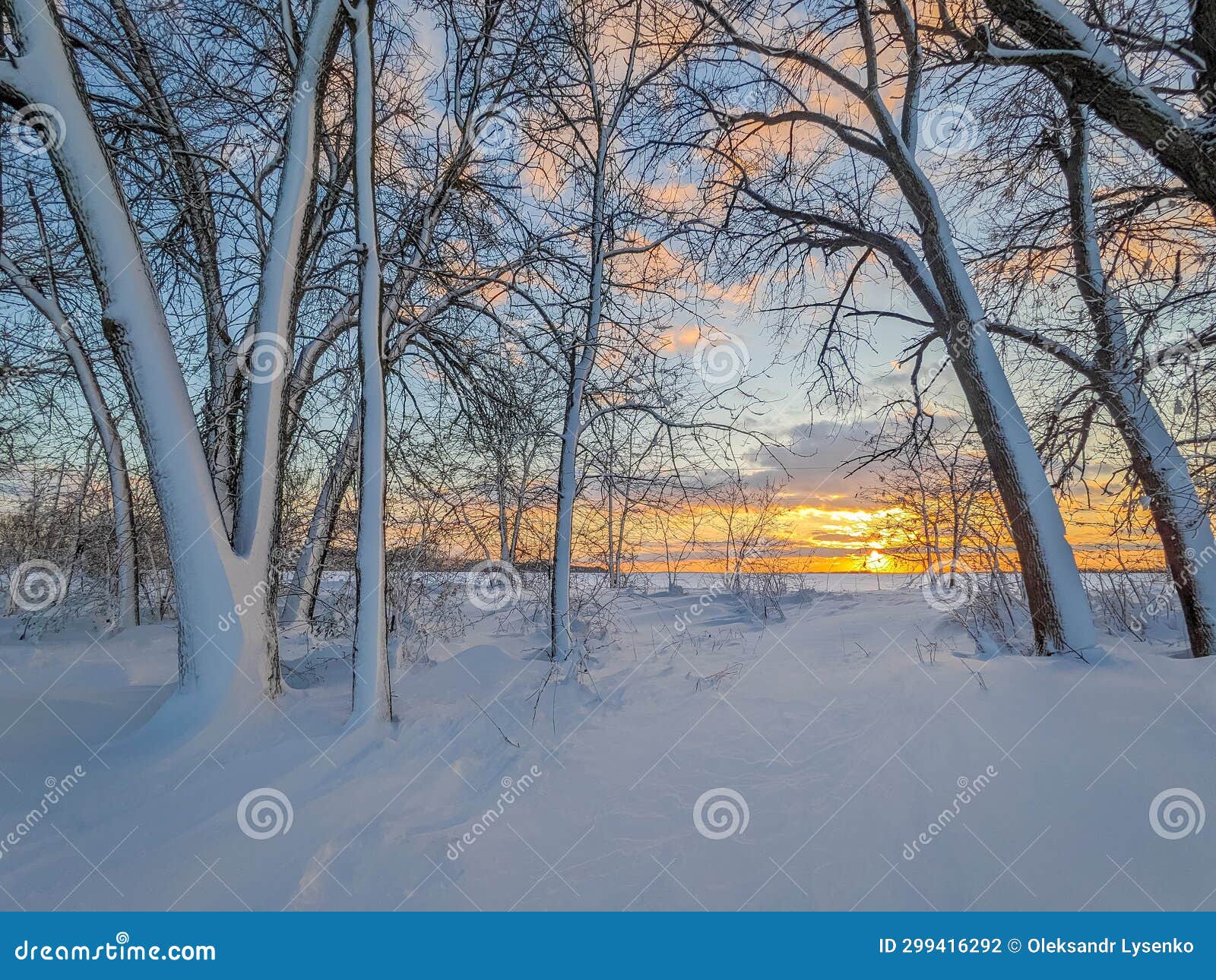 Country Winter Landscape at Sunset Stock Photo - Image of rural, nature ...