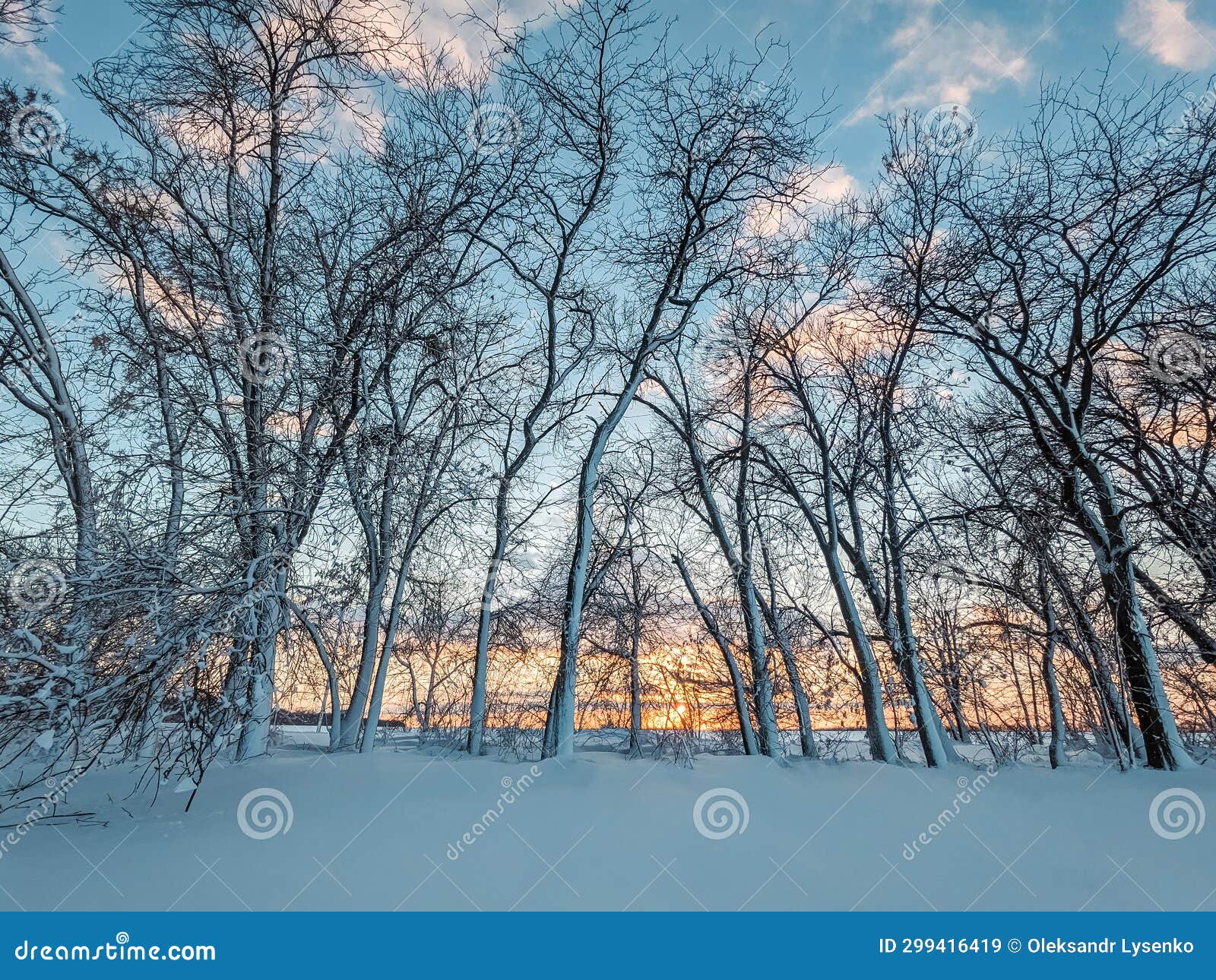 Country Winter Landscape at Sunset Stock Image - Image of scenery ...