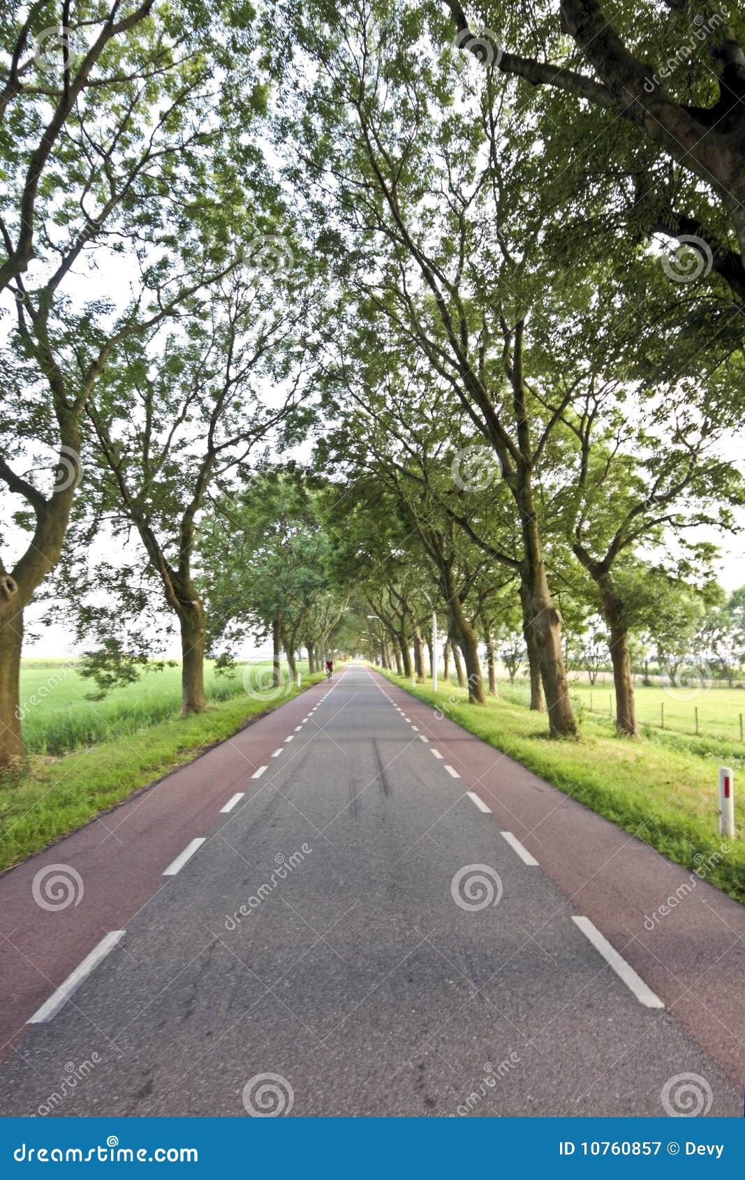 Countryroad in the Netherlands Stock Image - Image of holland, asphalt ...
