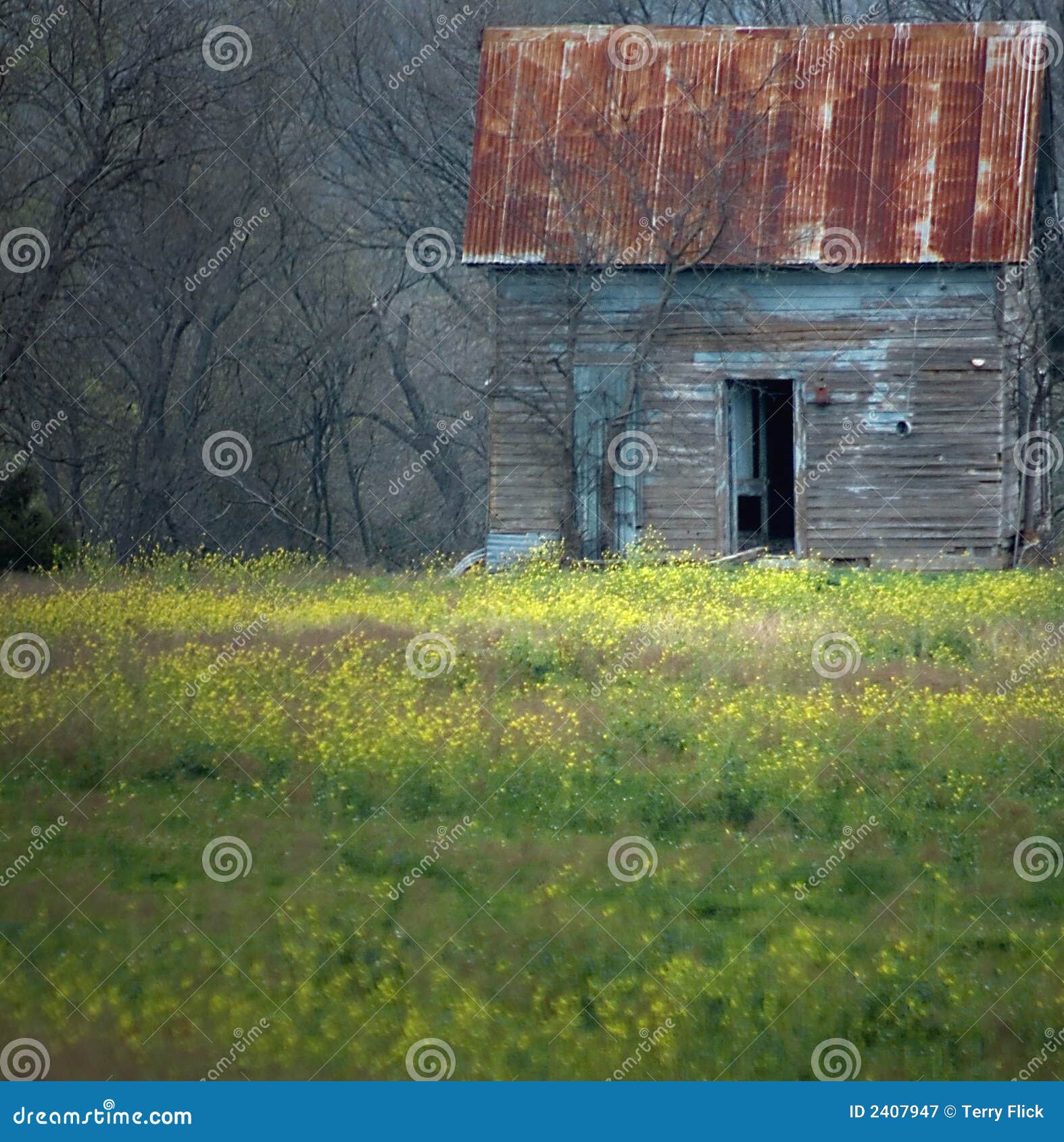 Countryside Barn stock image. Image of field, desolate - 2407947